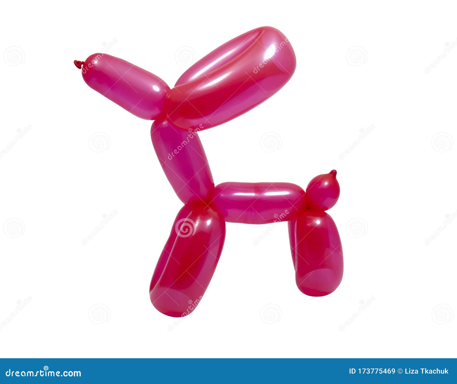 Red Balloon Model of Dog Isolated on the White Stock Image - Image of ...