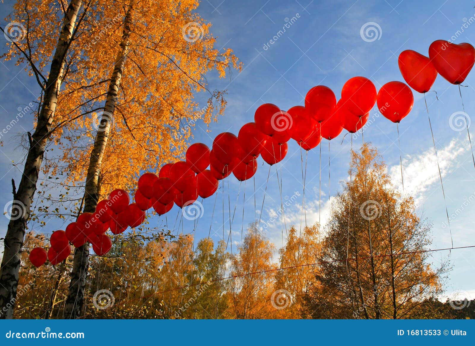 Red Balloons in Fall Forest Stock Image - Image of fall, wedding: 16813533
