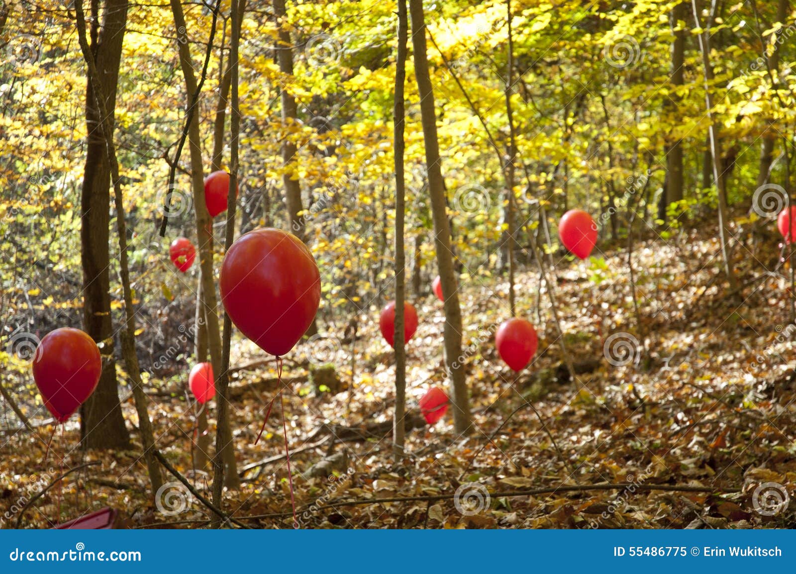 Red balloons stock image. Image of balloons, forest, fall - 55486775