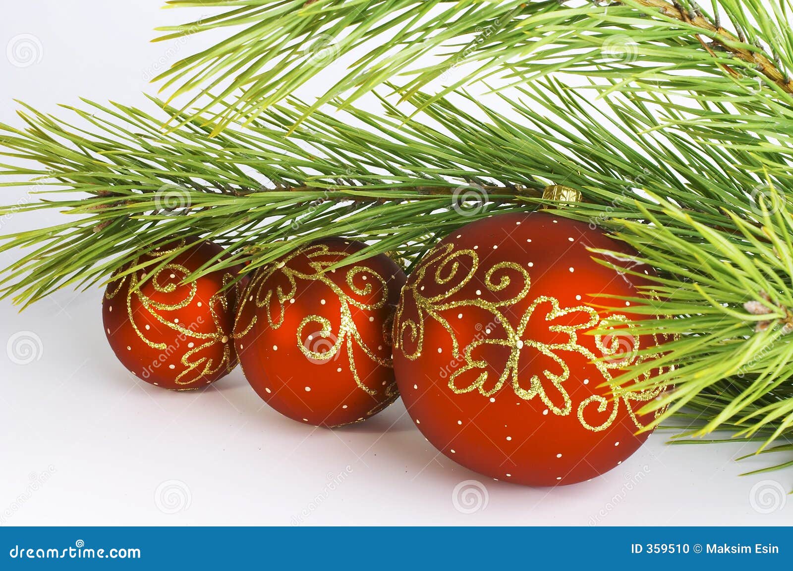 Red balls with pine branch stock photo. Image of branches - 359510