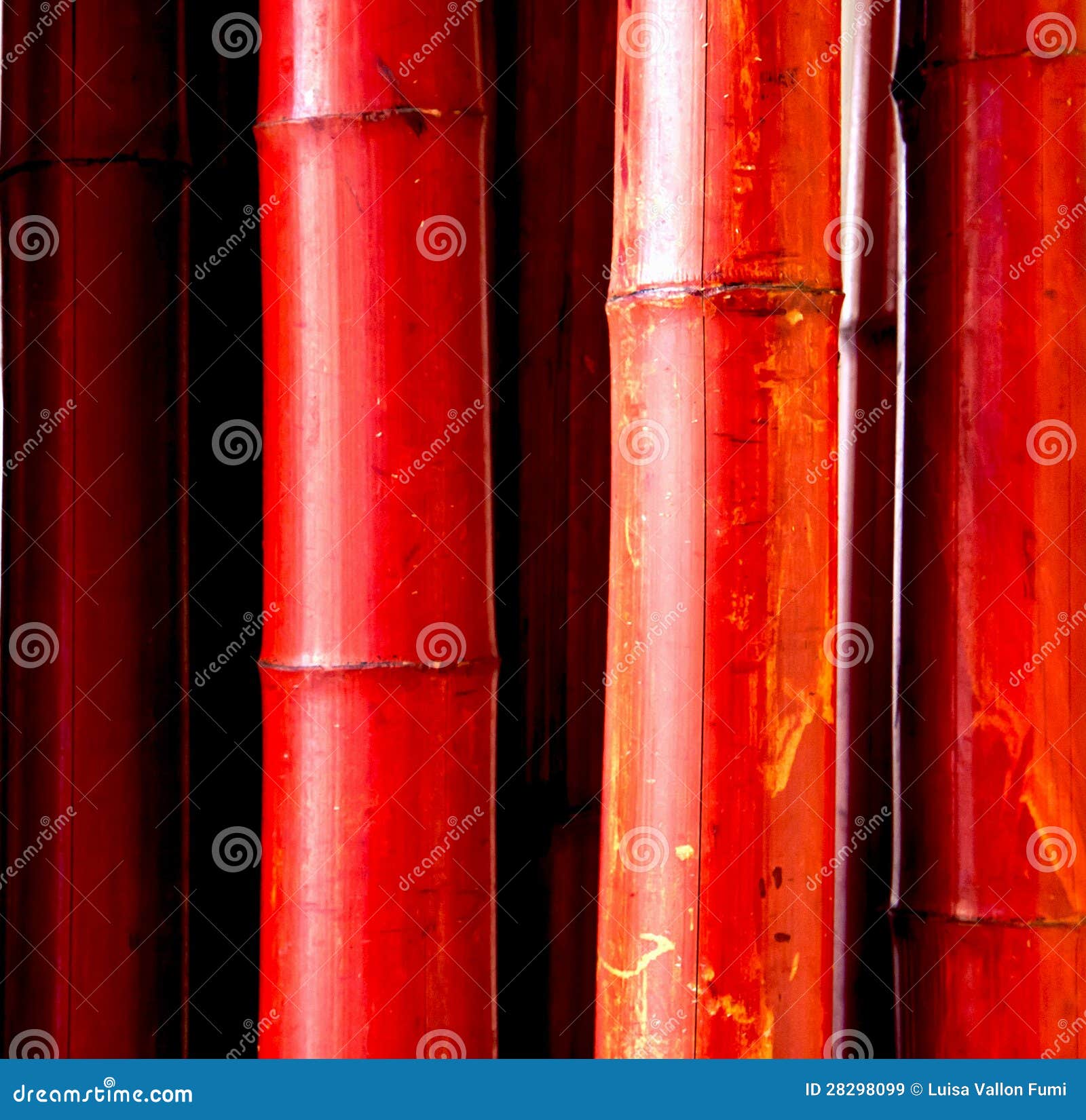 Red bamboo stock image. Image of grass, grunge, round - 28298099