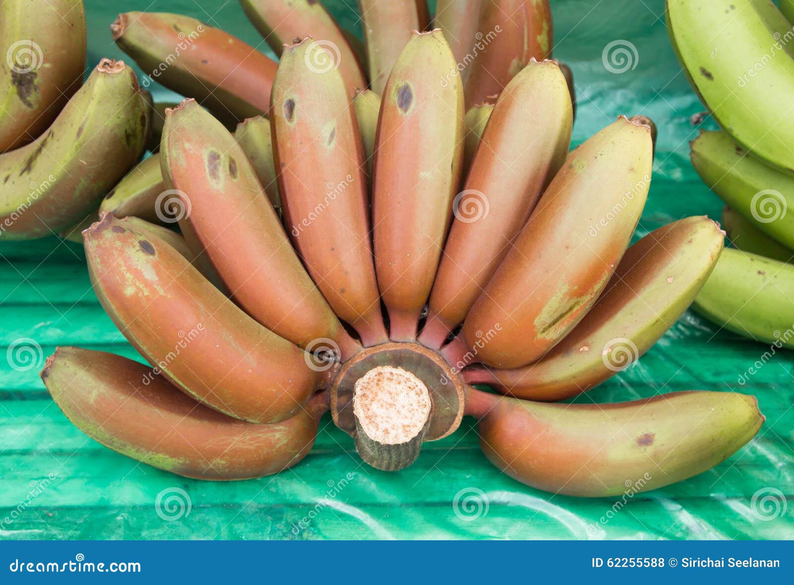 Red Banana Bunch-Musa Acuminata Red Dacca Stock Photo - Image of food ...