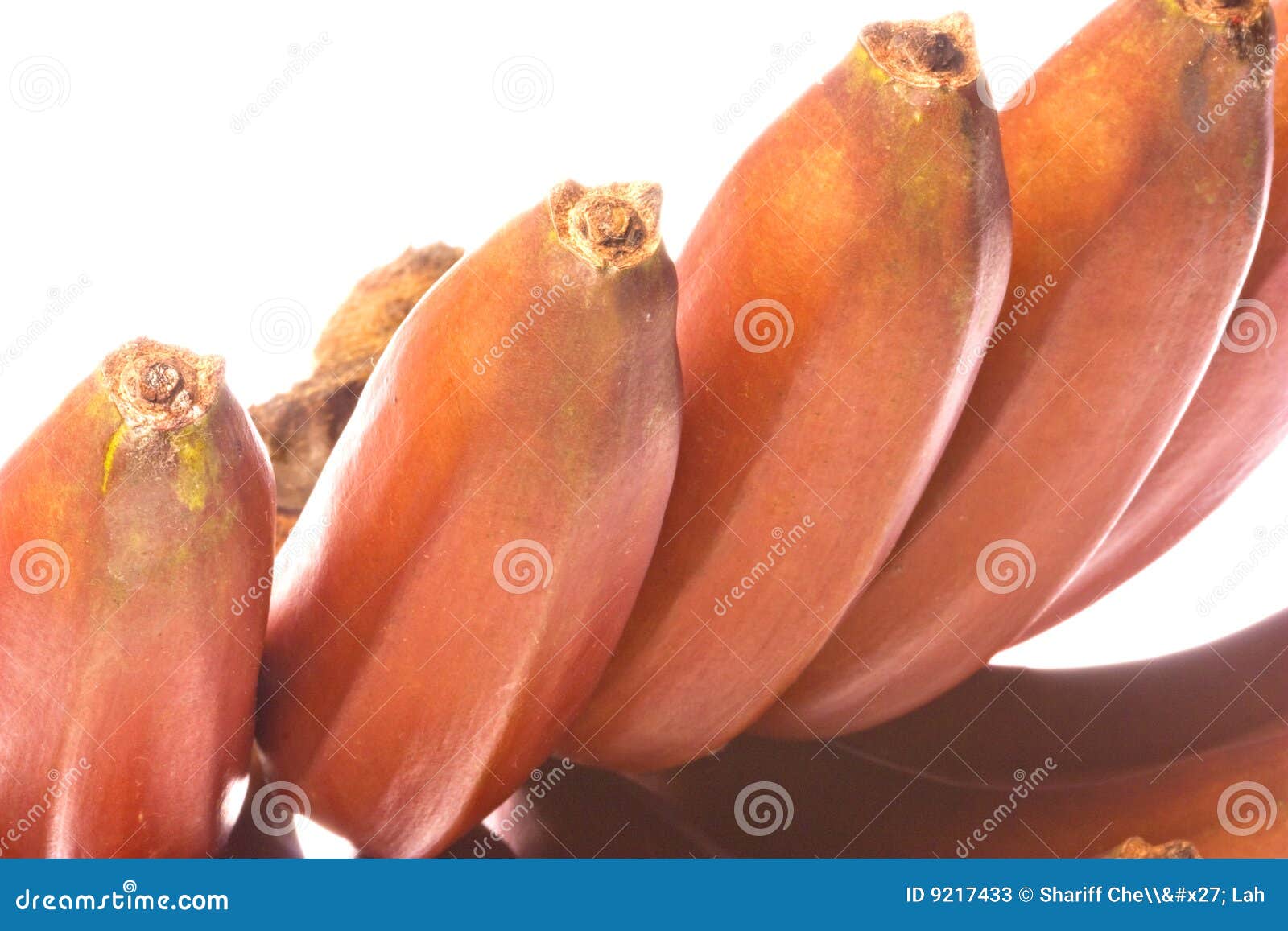 Red Bananas Isolated stock image. Image of ripe, nutrition - 9217433
