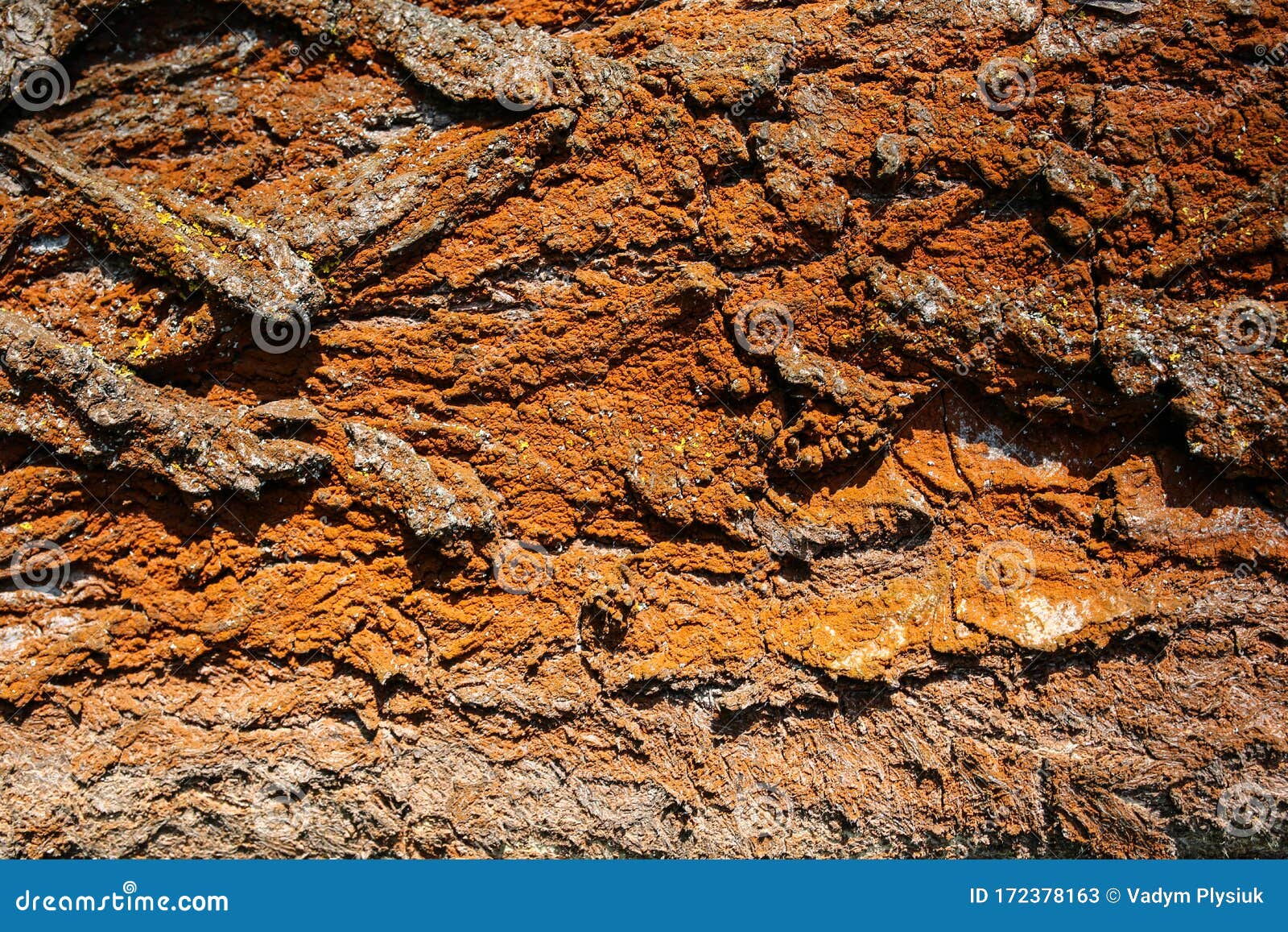Red Bark Tree Texture Background Stock Image - Image of tile, design ...