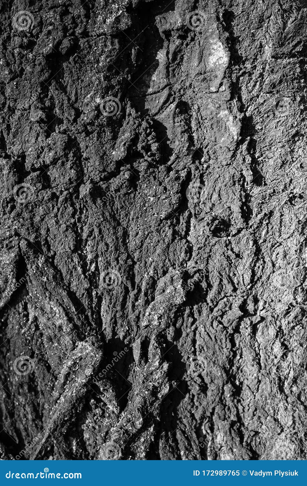 Red Bark Tree Texture Background Stock Image - Image of nature, lumber ...