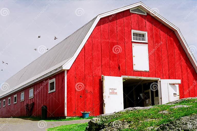 Red barn stock image. Image of white, buildings, ranch - 110557