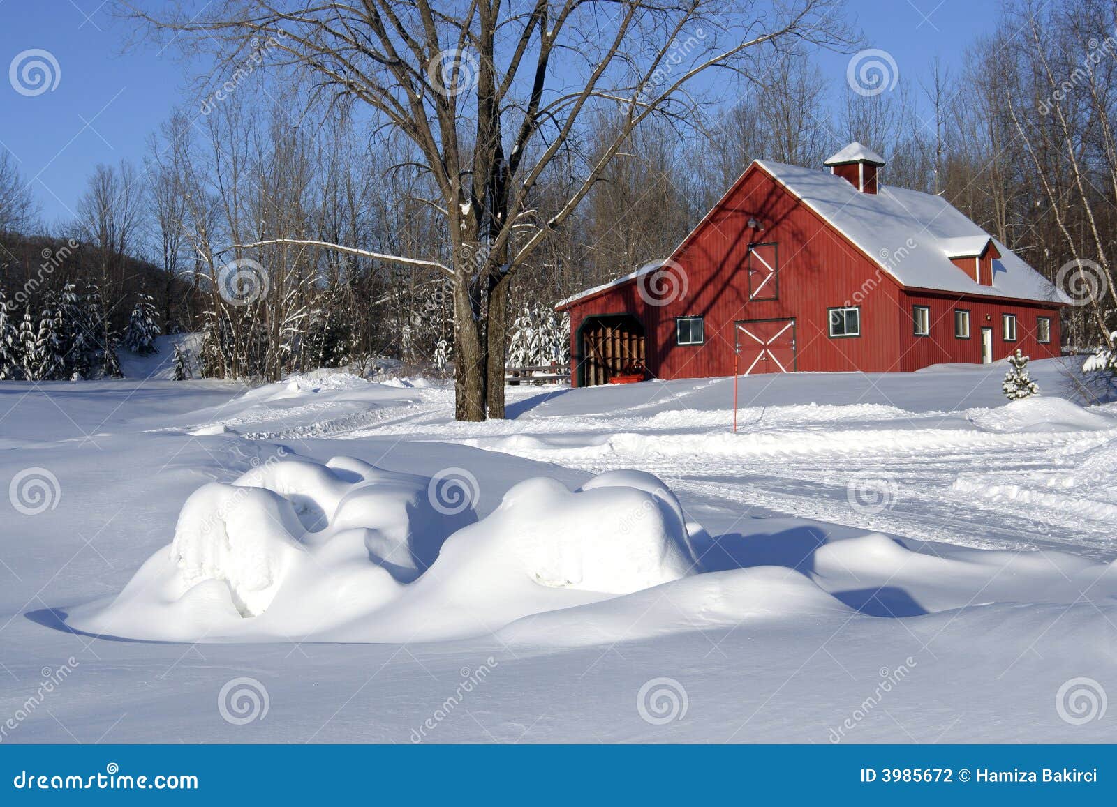 Red barn stock photo. Image of quiet, windows, sunny, bare - 3985672
