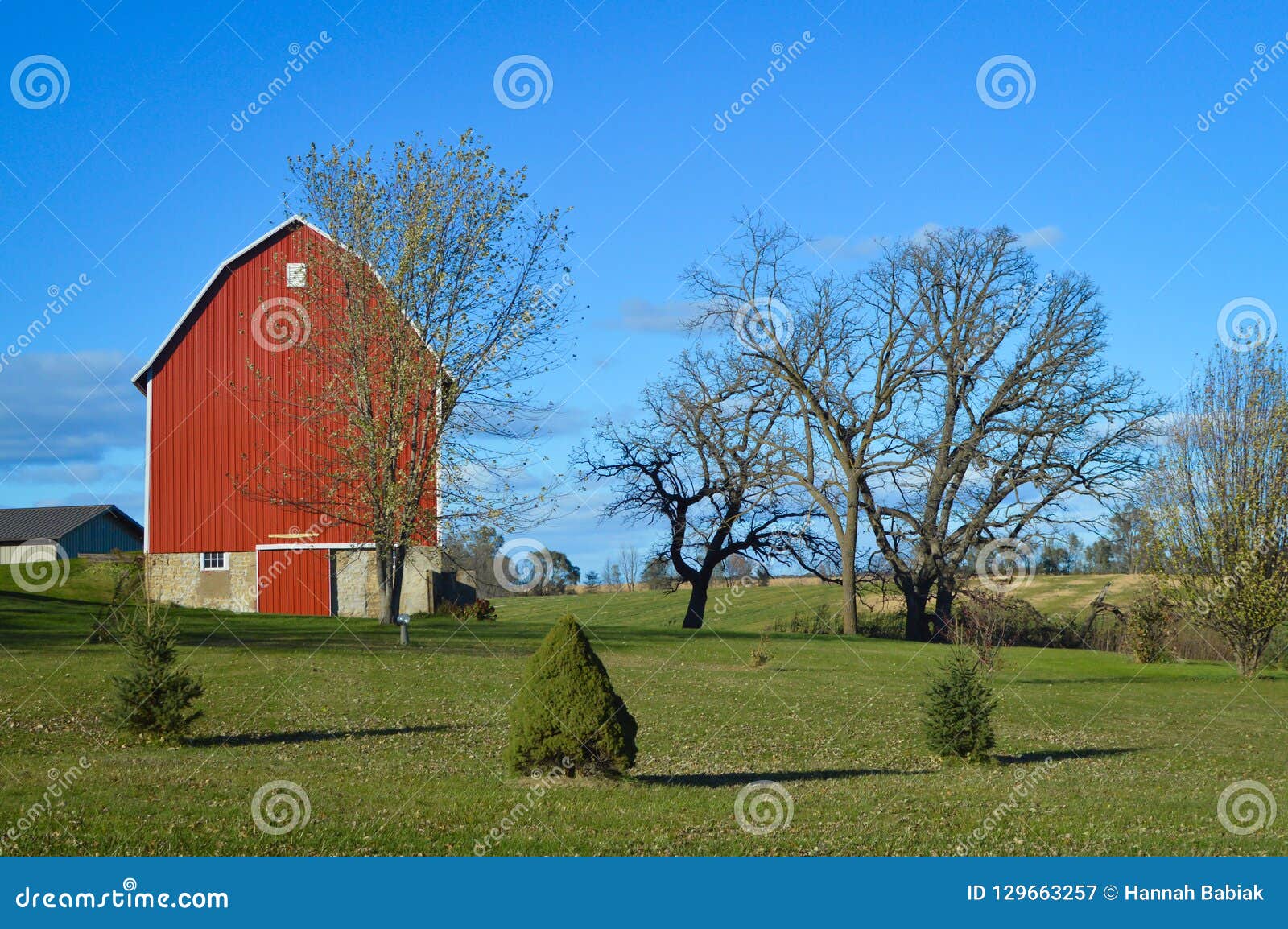 Red Barn with Bare Trees in Wisconsin Stock Image - Image of stone ...