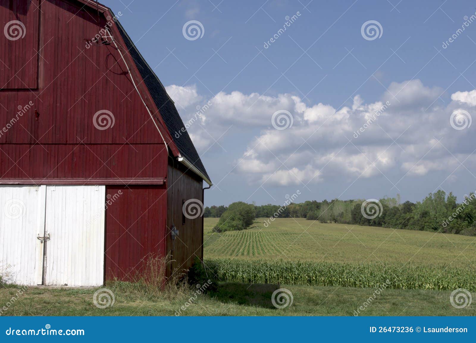 Red Barn Corn Field stock photo. Image of repository - 26473236