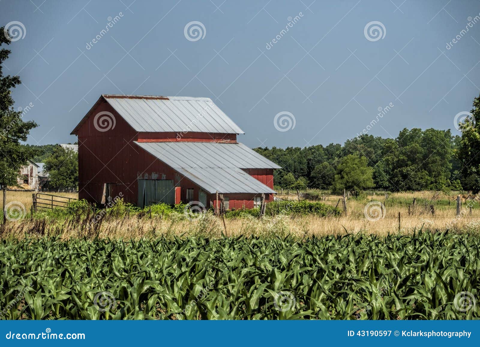 Red Barn and Corn Fields stock image. Image of corn, barn - 43190597
