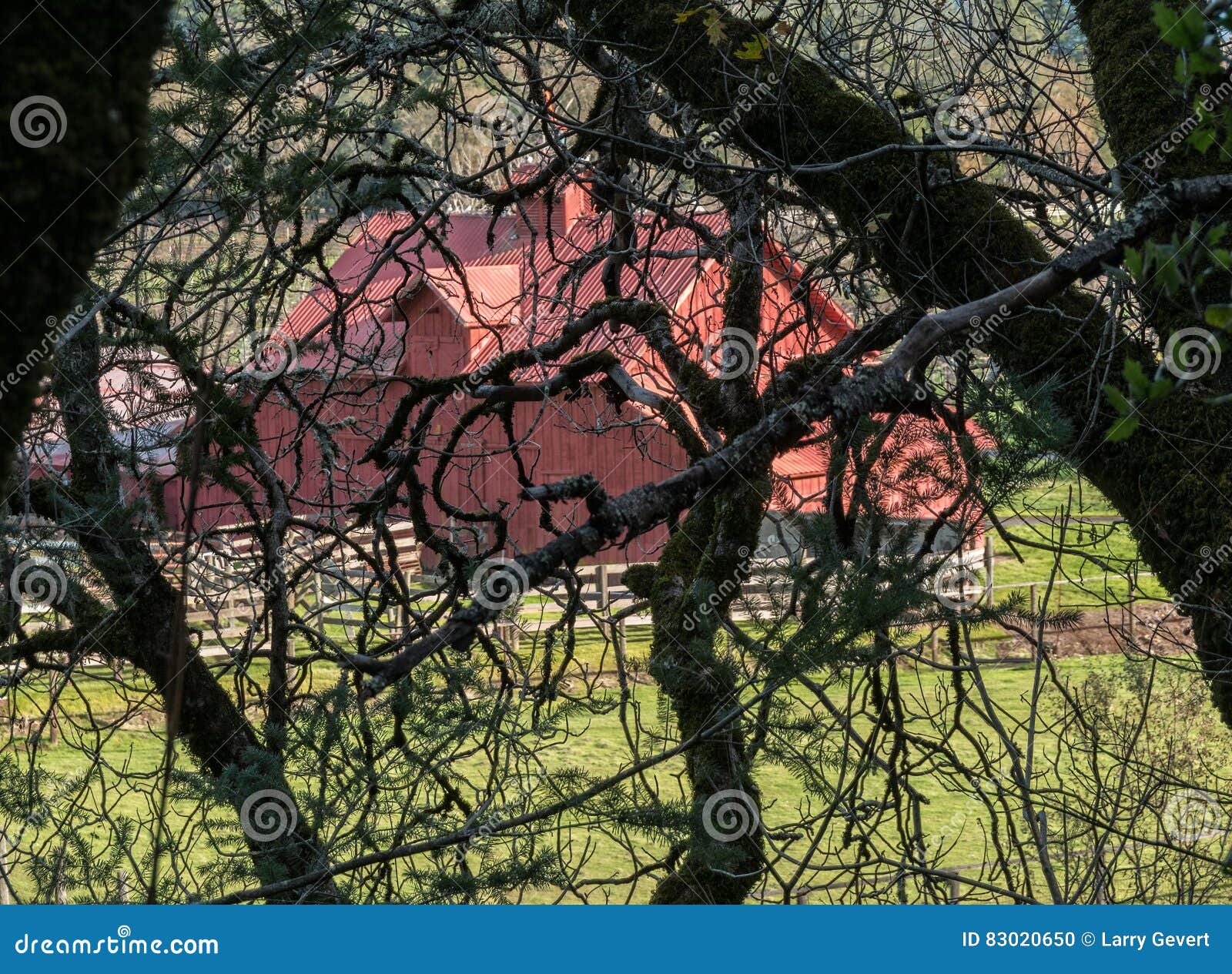 Red barn stock photo. Image of barndoor, farmland, history - 83020650