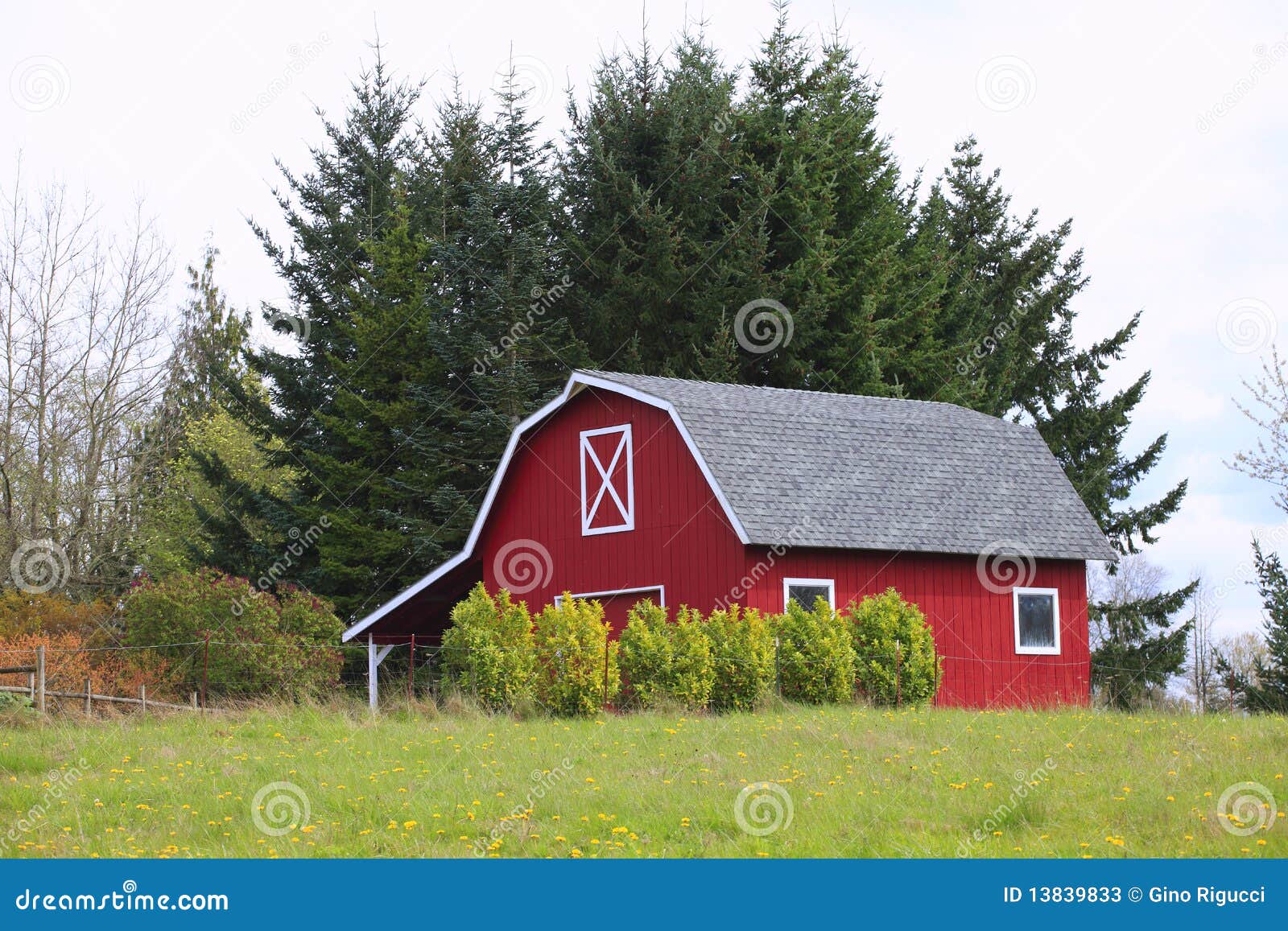 A Red Barn in a Countryside. Stock Image - Image of peaceful, dandelion ...