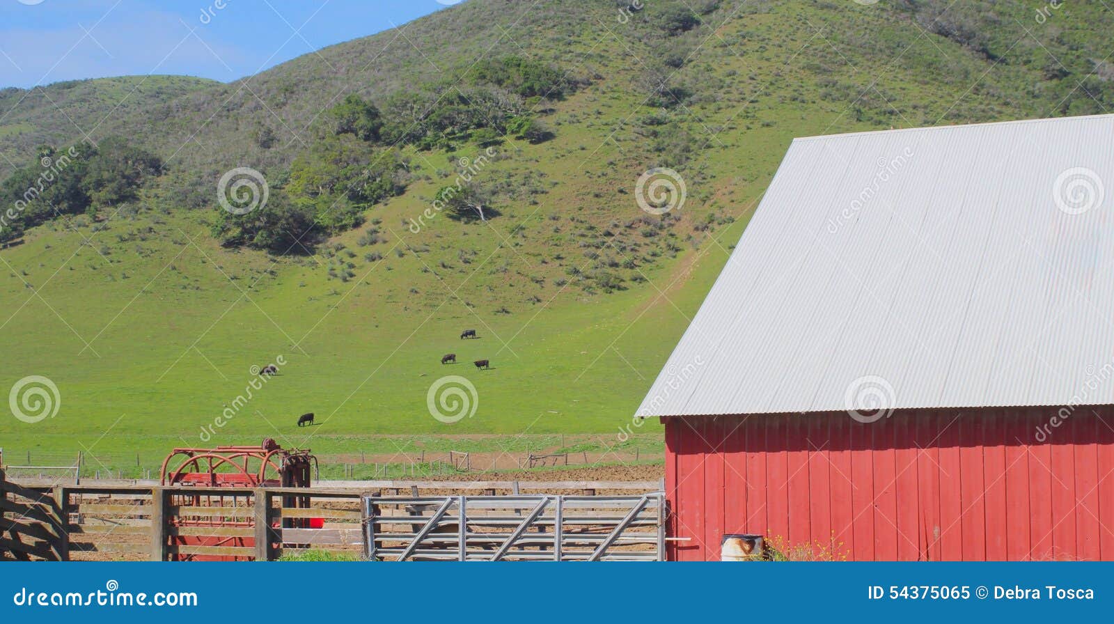 Red barn cows stock image. Image of landscape, barns - 54375065