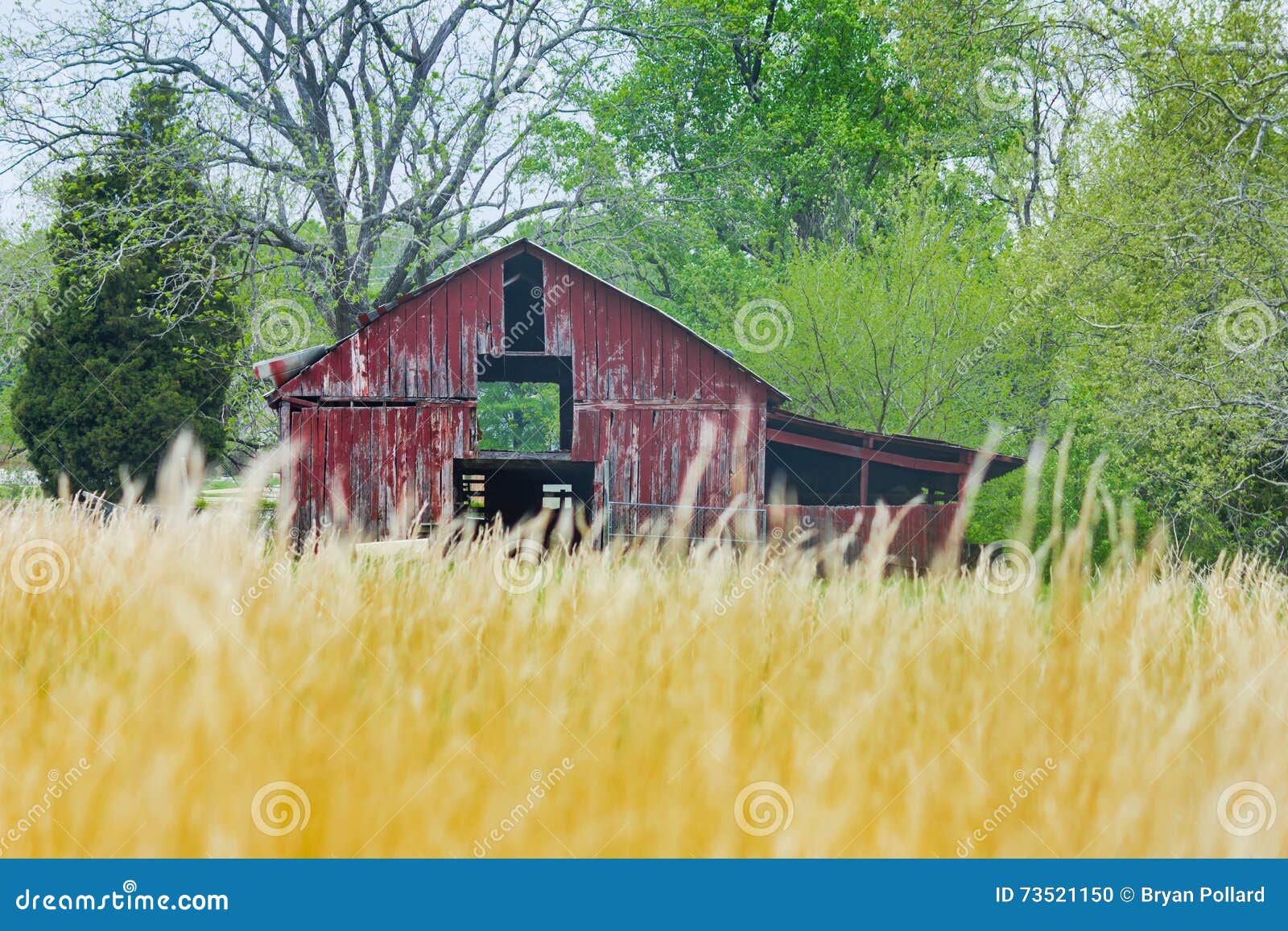 Red Barn stock photo. Image of orange, spring, green - 73521150