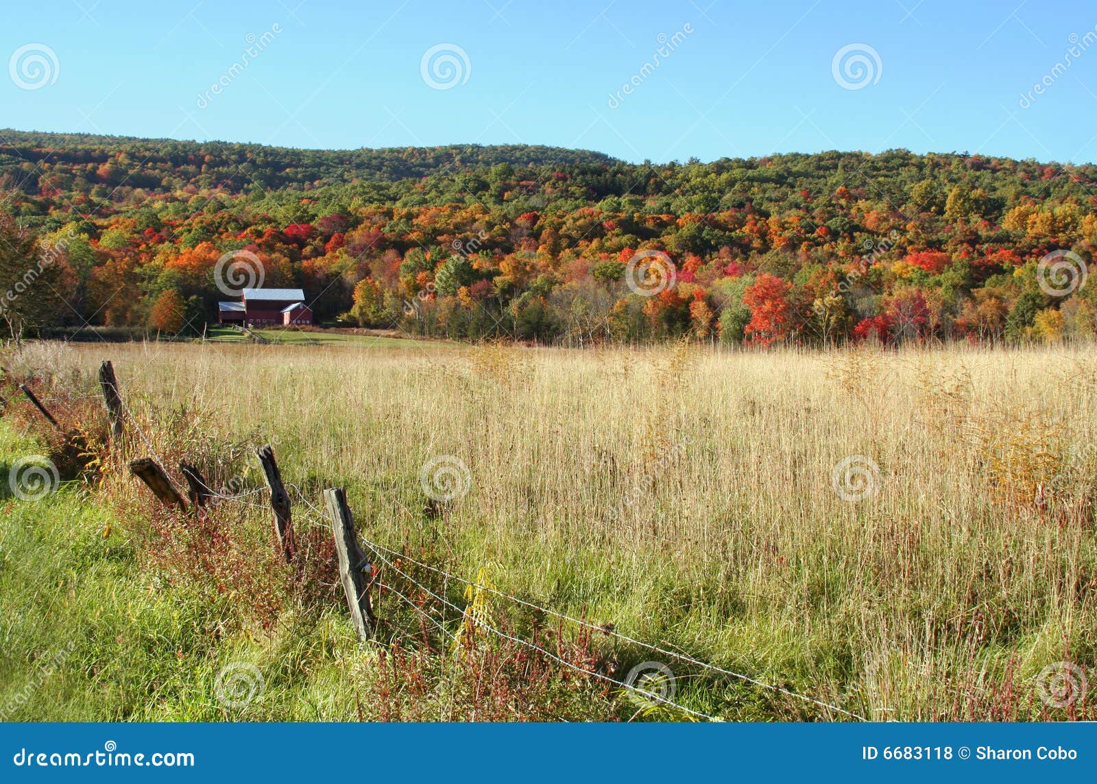 Red Barn, Fall Foliage stock photo. Image of bright, seasonal - 6683118