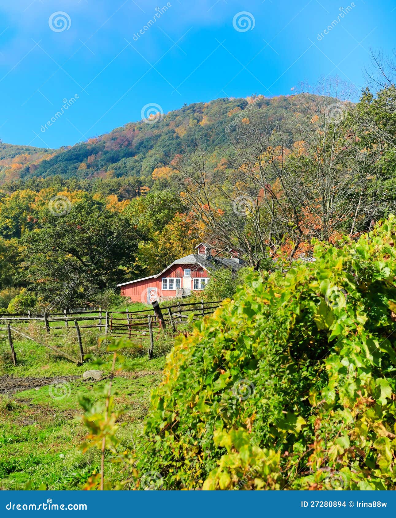 Red barn, fence and fall. stock photo. Image of leaf - 27280894