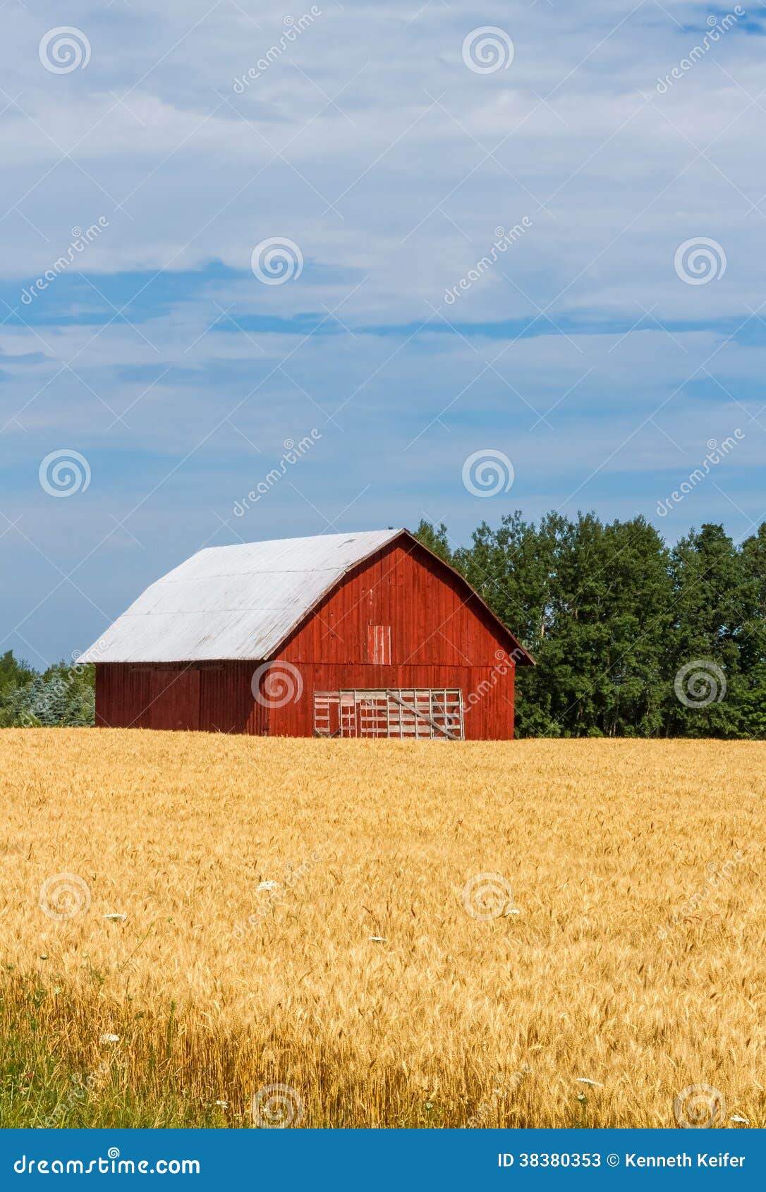 Red Barn in Field stock image. Image of country, golden - 38380353