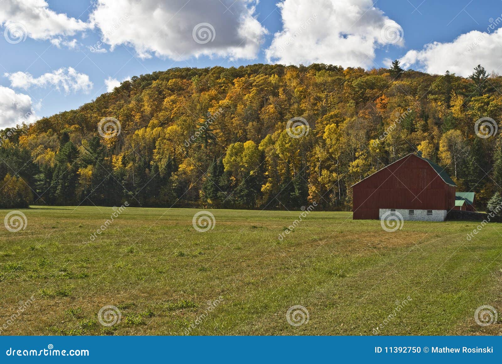 Red barn forest stock photo. Image of land, forest, autumn - 11392750