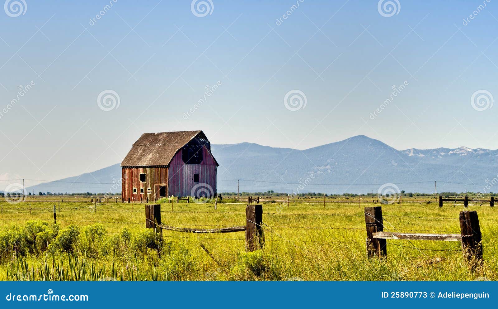 Red Barn, Golden Green Fields, Oregon Stock Image - Image of central ...