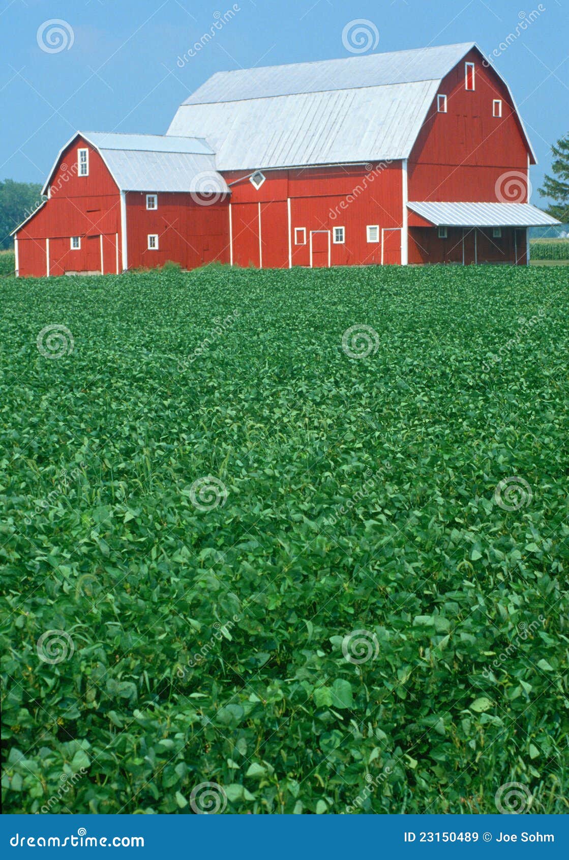 Red barn with green field stock image. Image of plants - 23150489