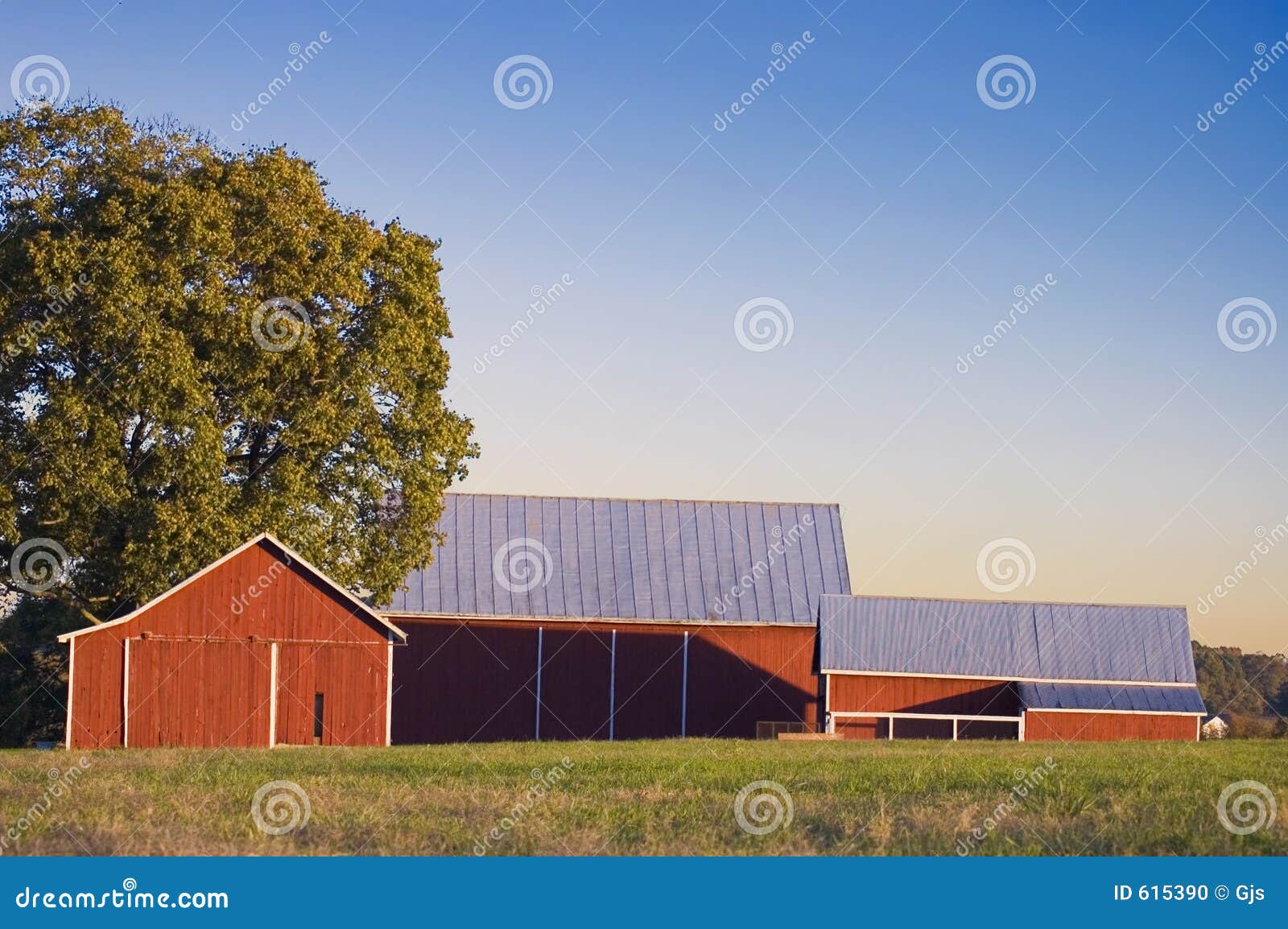 Red Barn and Pasture stock photo. Image of grass, house - 615390