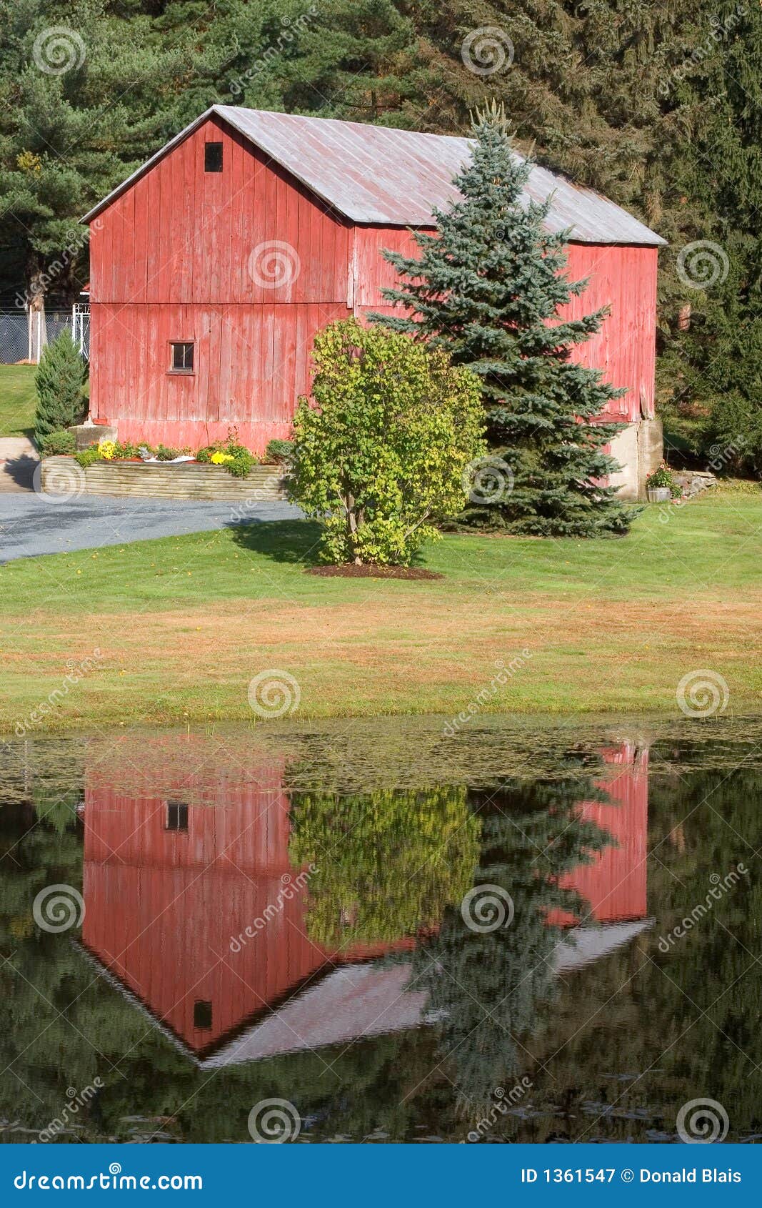 Red Barn Reflection stock image. Image of halloween, fall - 1361547