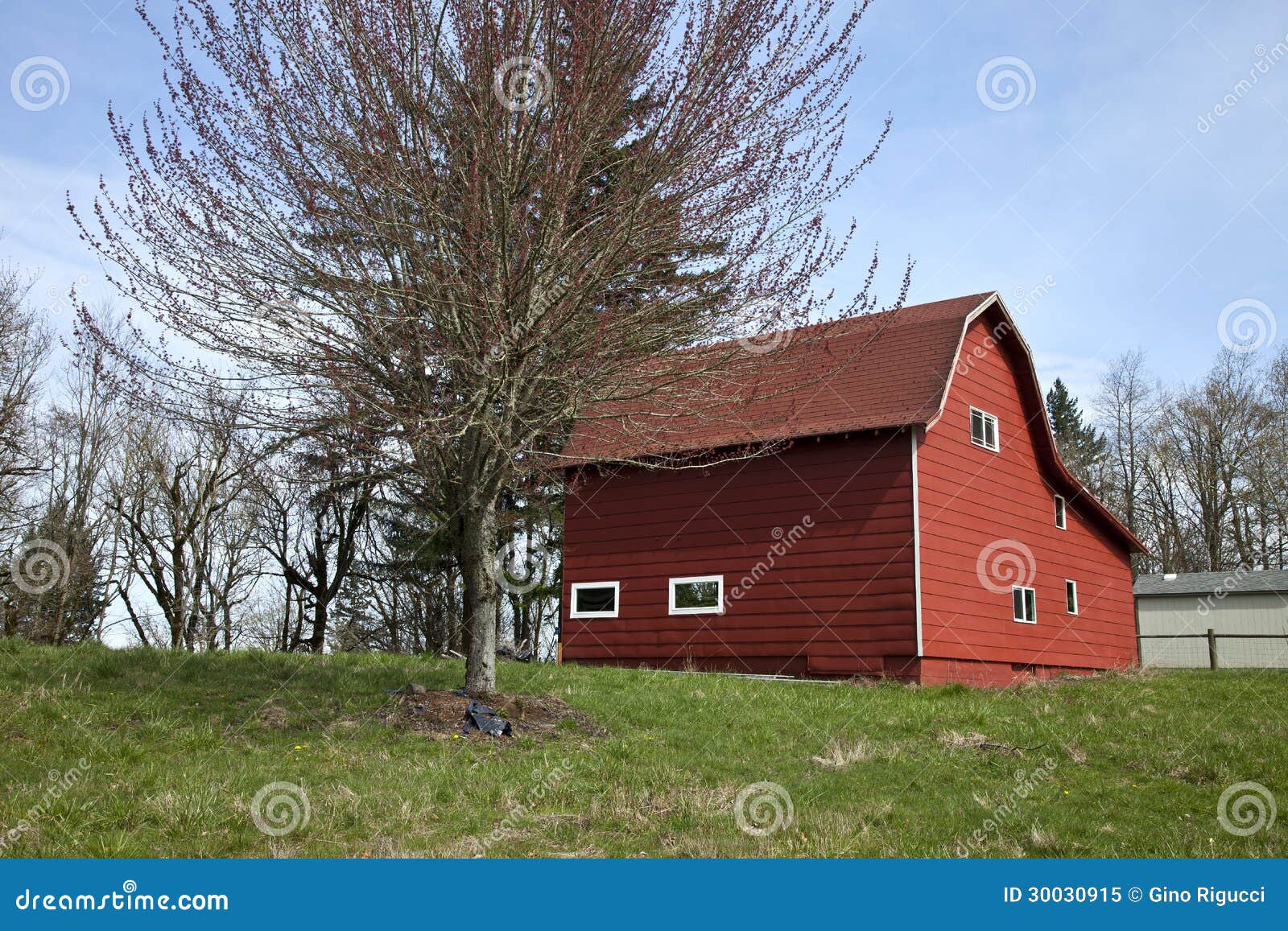 Red Barn Oregon. stock image. Image of trees, fence, outdoors - 30030915