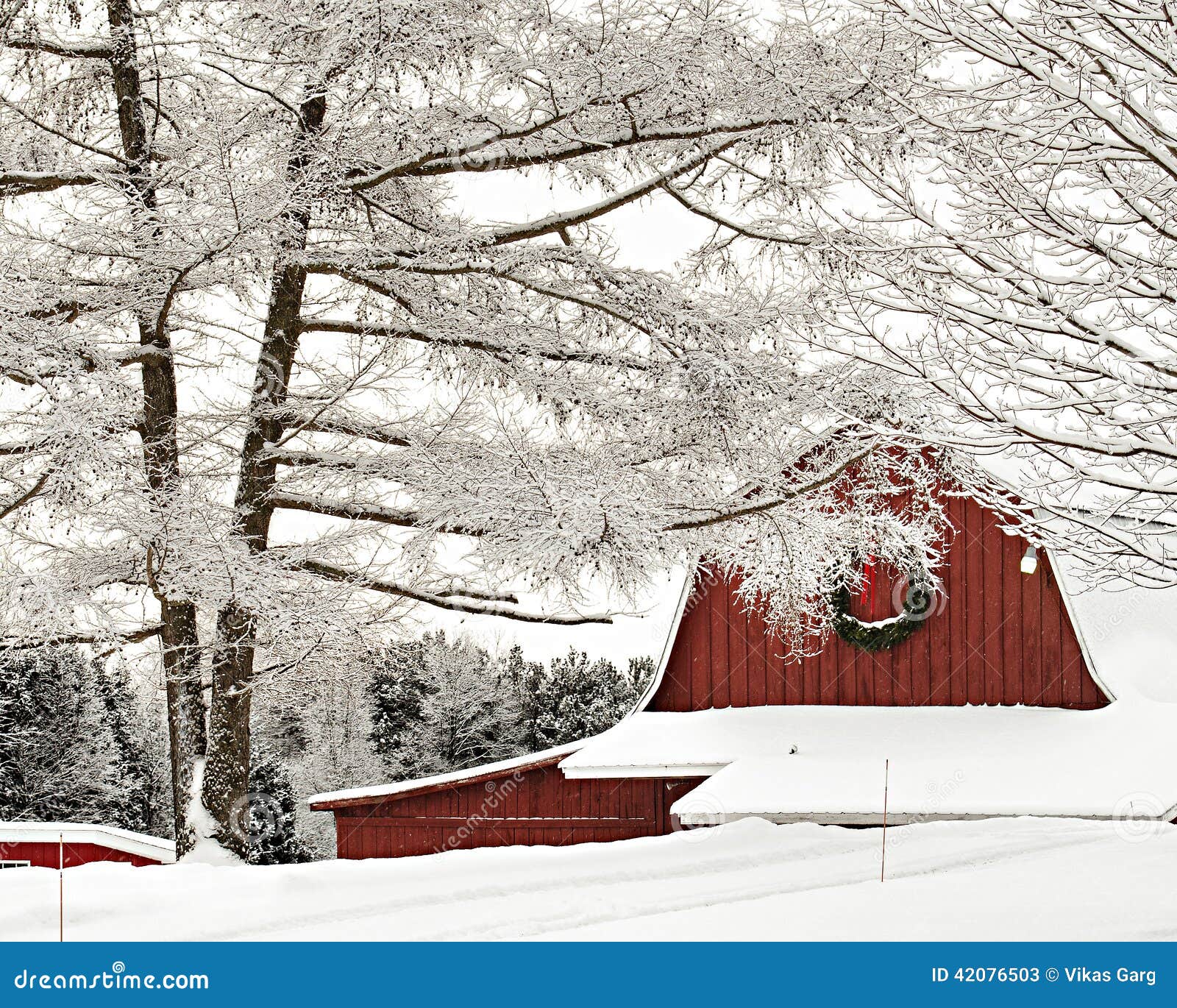 Red Barn with Snow Covered Trees in Winter Stock Image - Image of scene ...