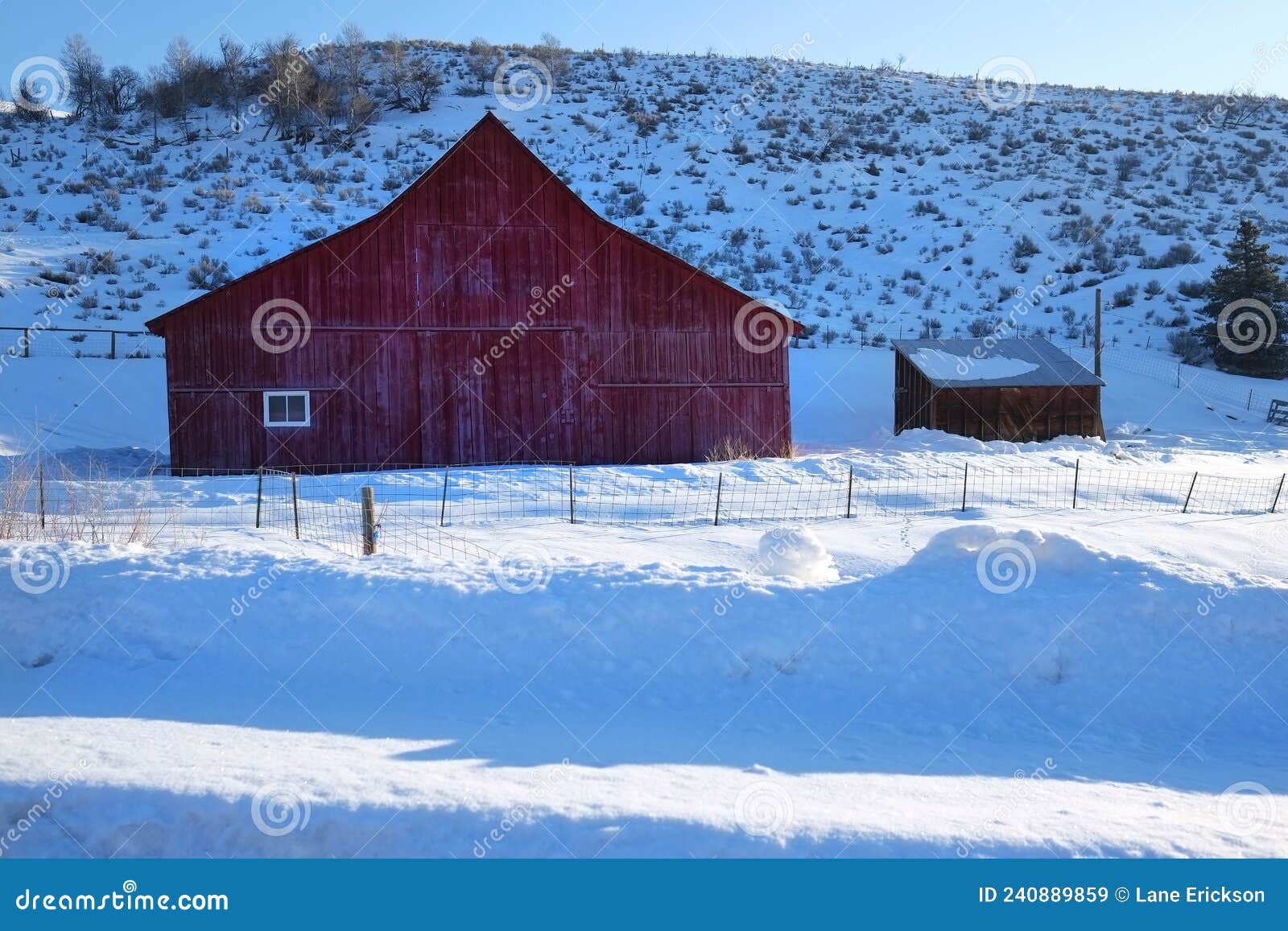 Red Barn in the Snow in Winter on Farm Stock Image - Image of frosty ...
