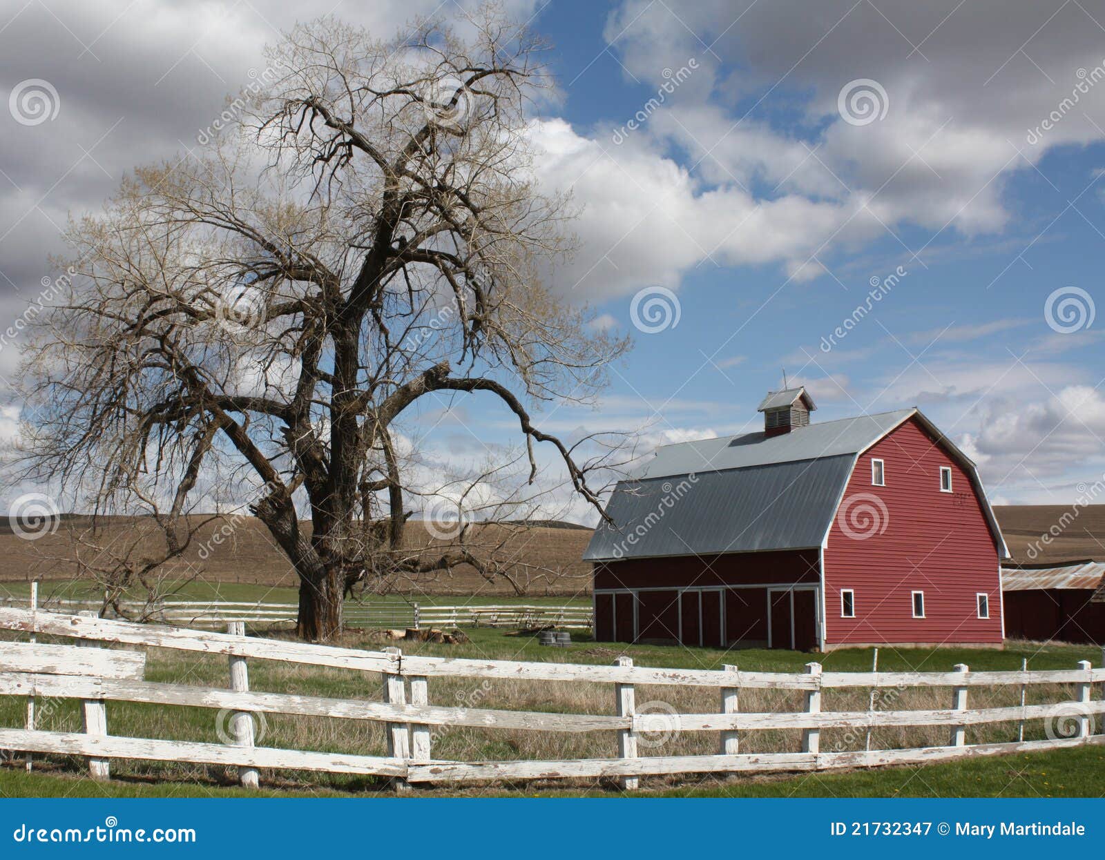 Red barn and tree stock image. Image of barn, tree, white - 21732347