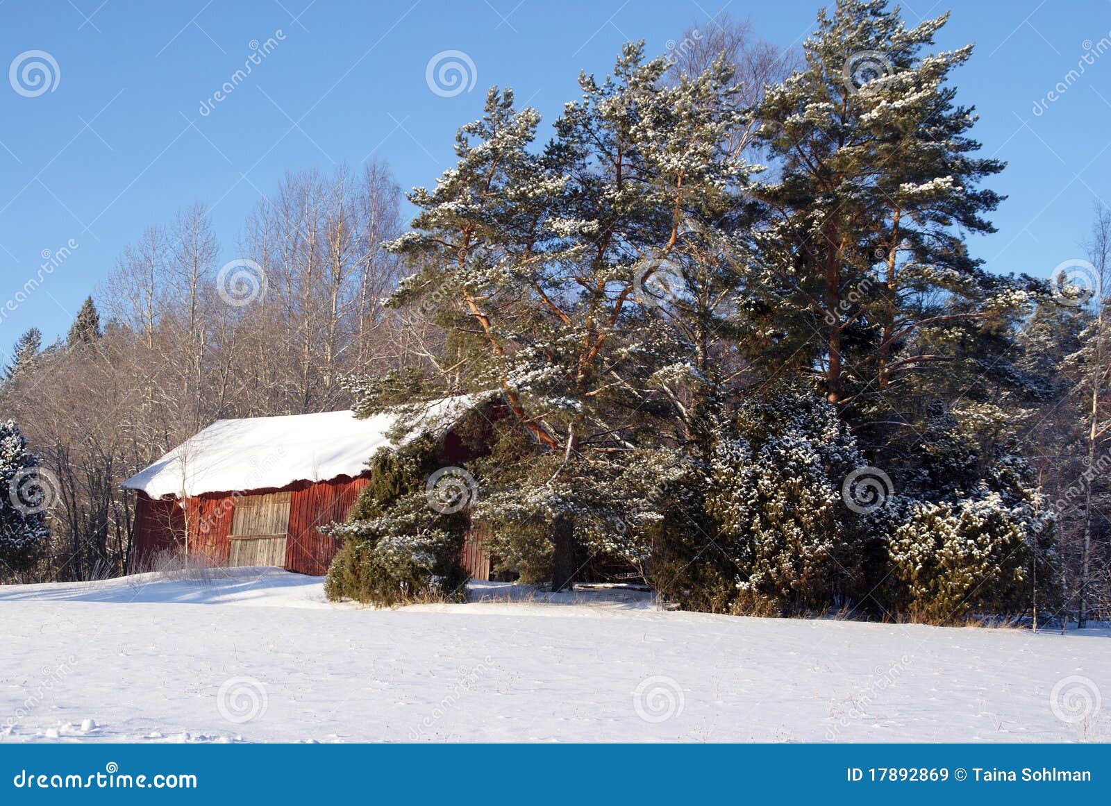 Red Barn and Trees in Winter Snow Stock Image - Image of outdoor ...