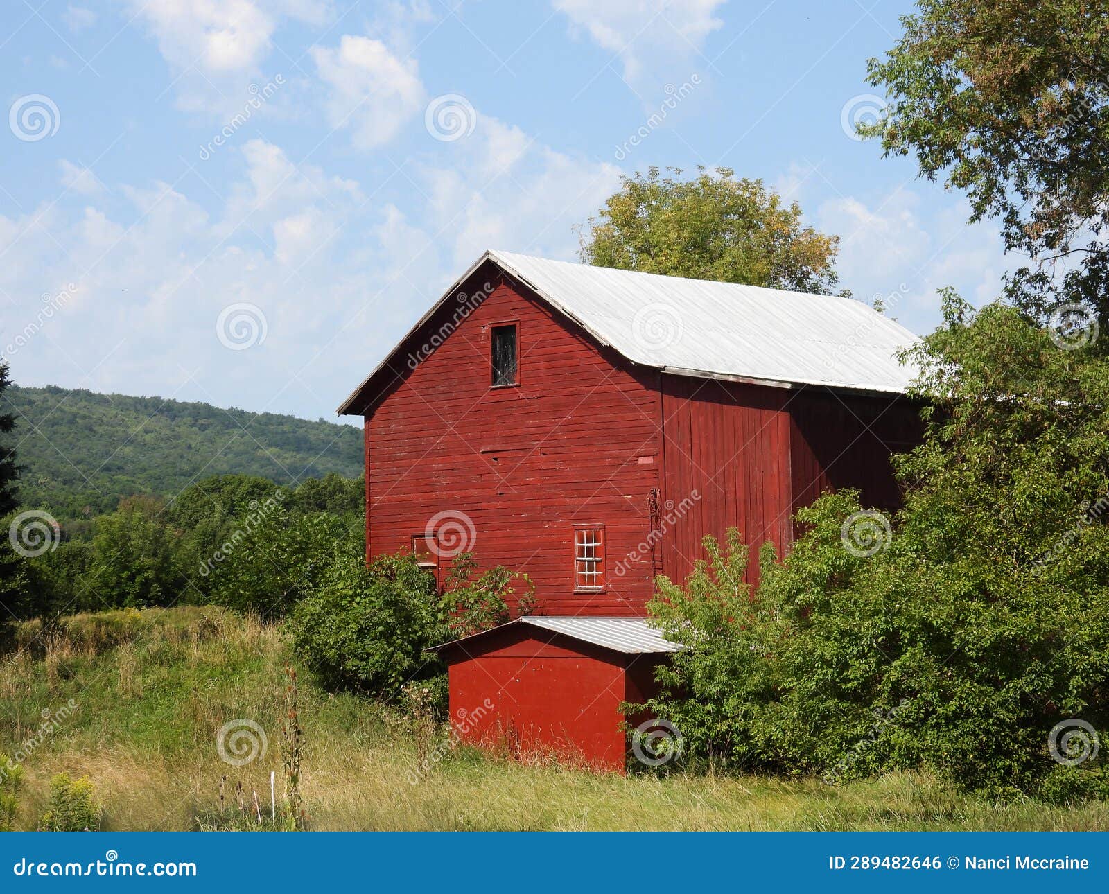 Vintage Red Wood Barn in Upstate NY FingerLakes Countryside Stock Photo ...