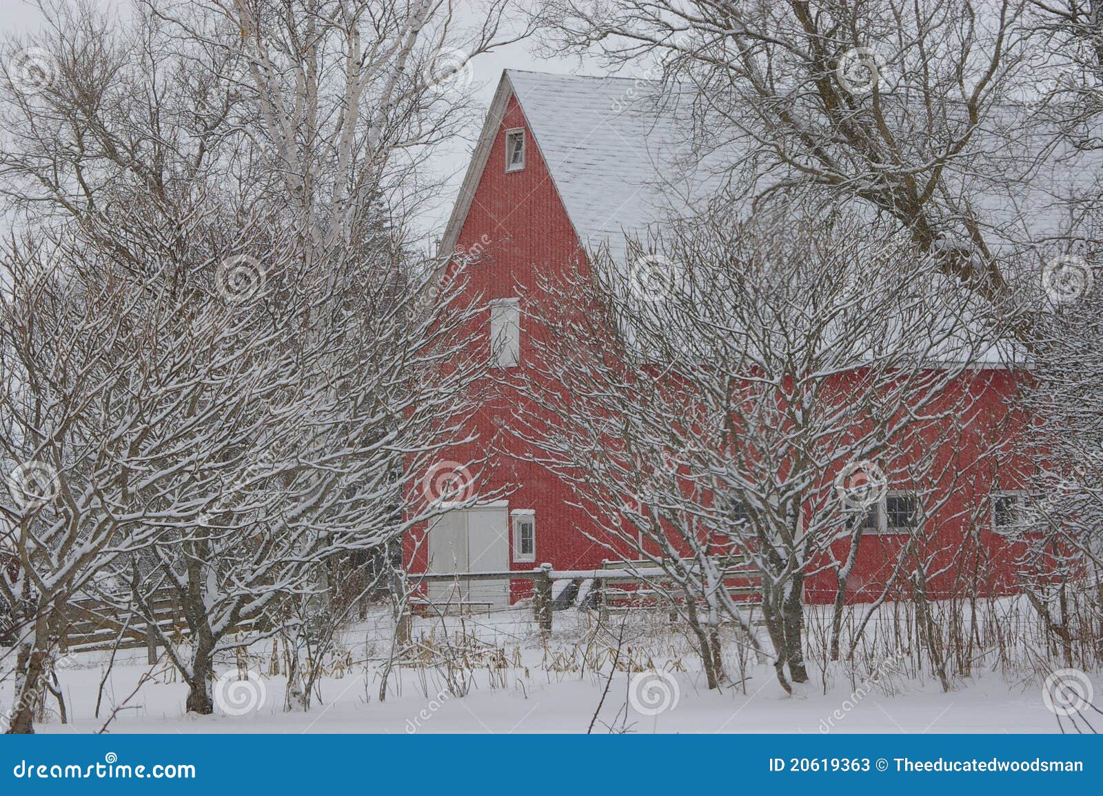 Red Barn in Winter 1 stock image. Image of farm, island - 20619363