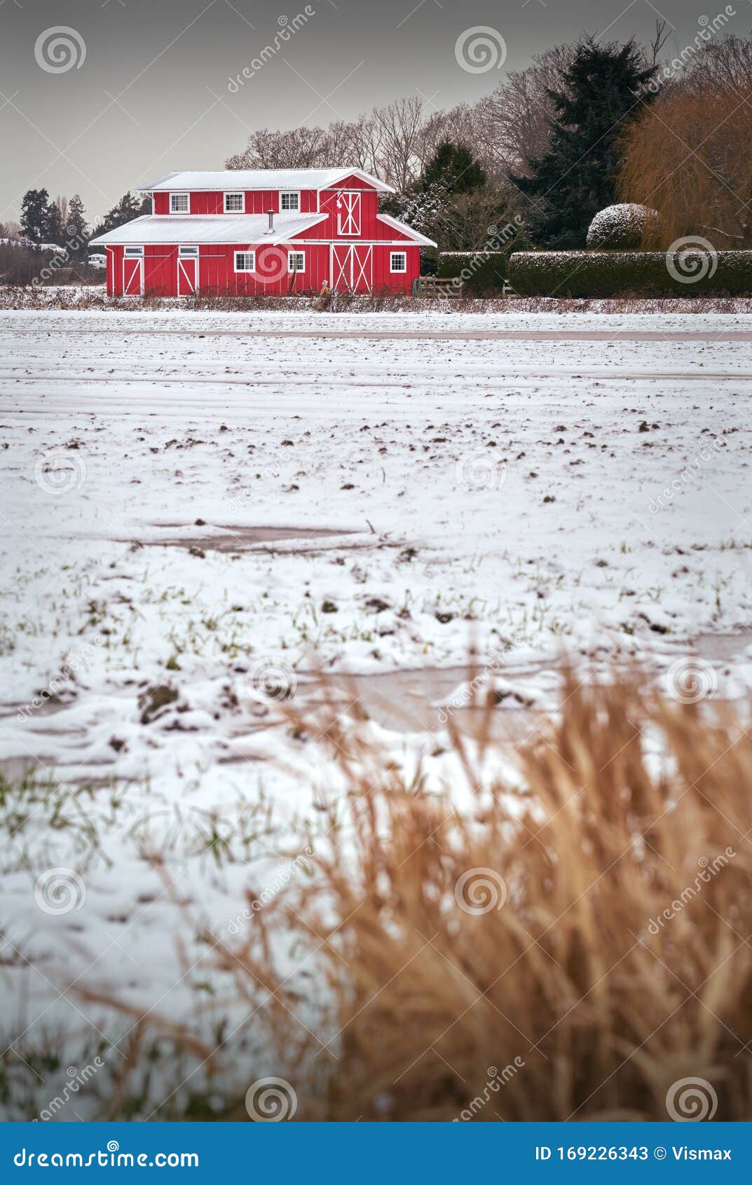 Red Barn Winter stock image. Image of tranquil, business - 169226343