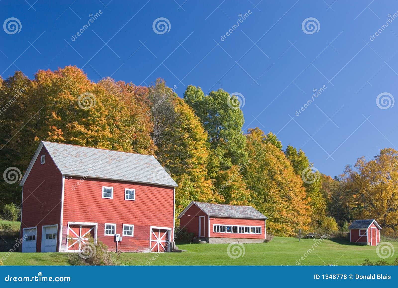 Red Barns in Autumn stock photo. Image of barns, fall - 1348778