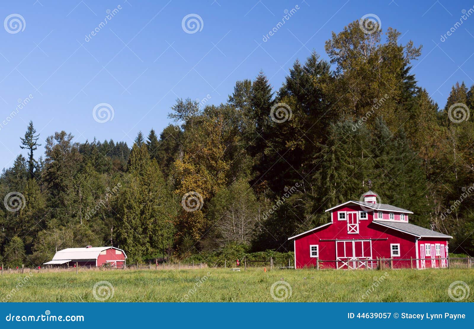 Red Barns in Summer stock image. Image of pasture, barn - 44639057