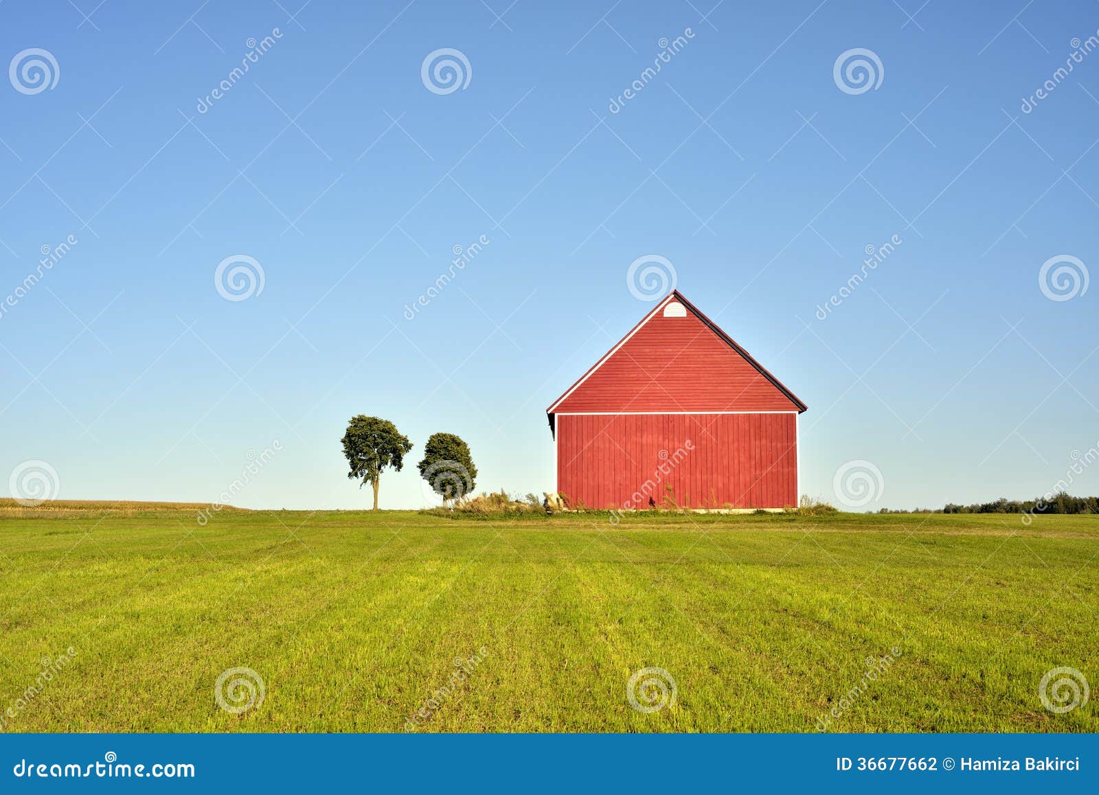 Red barns stock photo. Image of rural, peaceful, pasture - 36677662