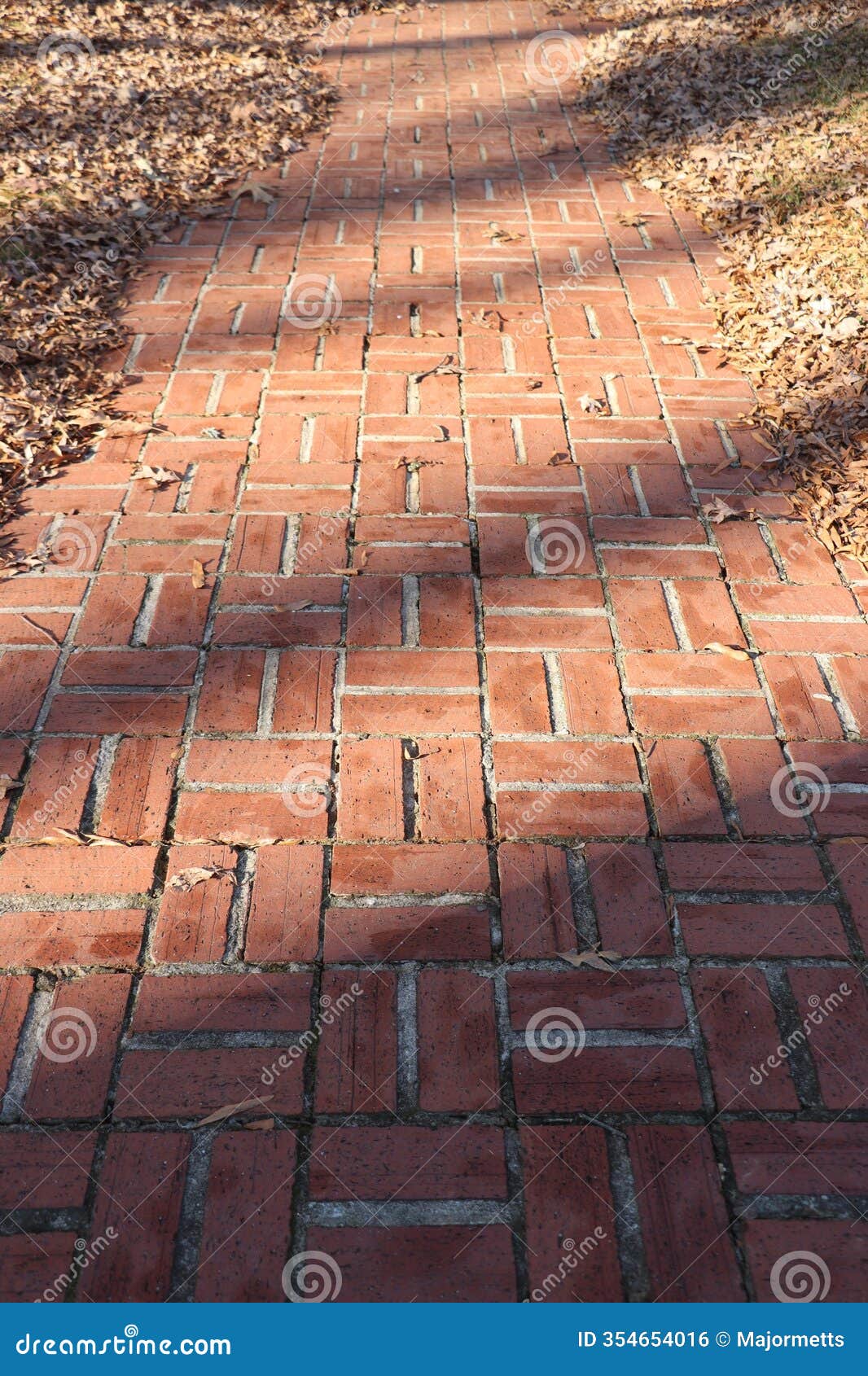 Red Basket Weave Pattern Brick Sidewalk with Shadows and Bordered by ...