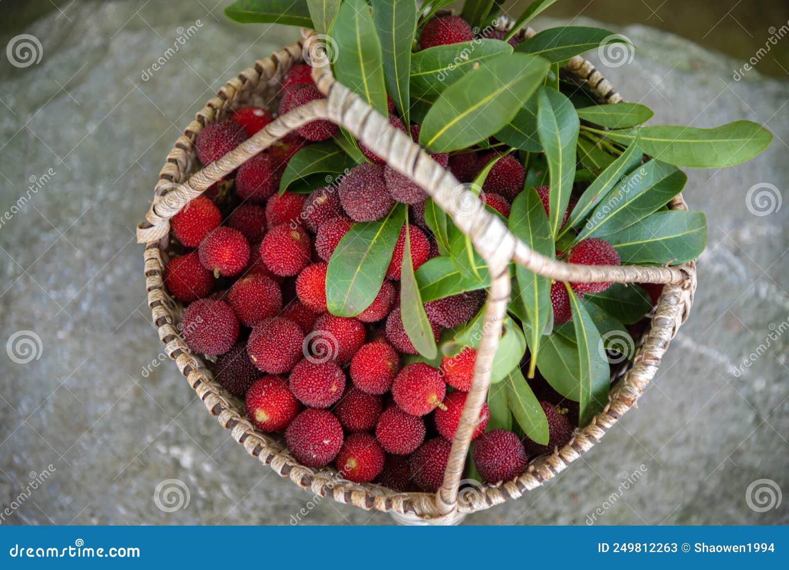 Chinese red bayberry stock image. Image of colour, backgrounds - 249812263