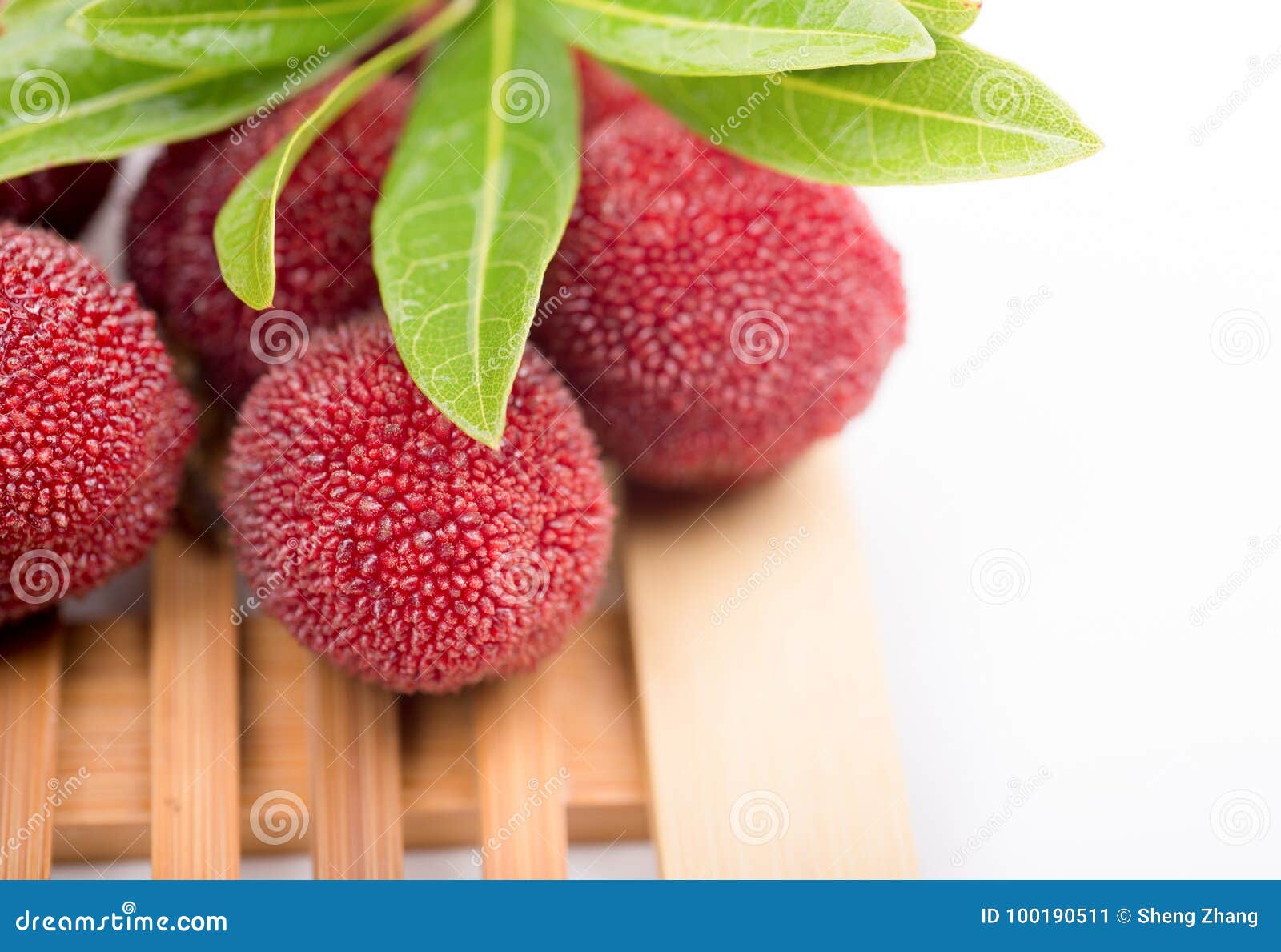 Red bayberry stock image. Image of releases, fresh, food - 100190511