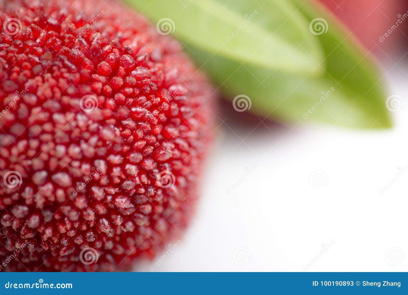 Red bayberry stock image. Image of edulis, harvesting - 100190893