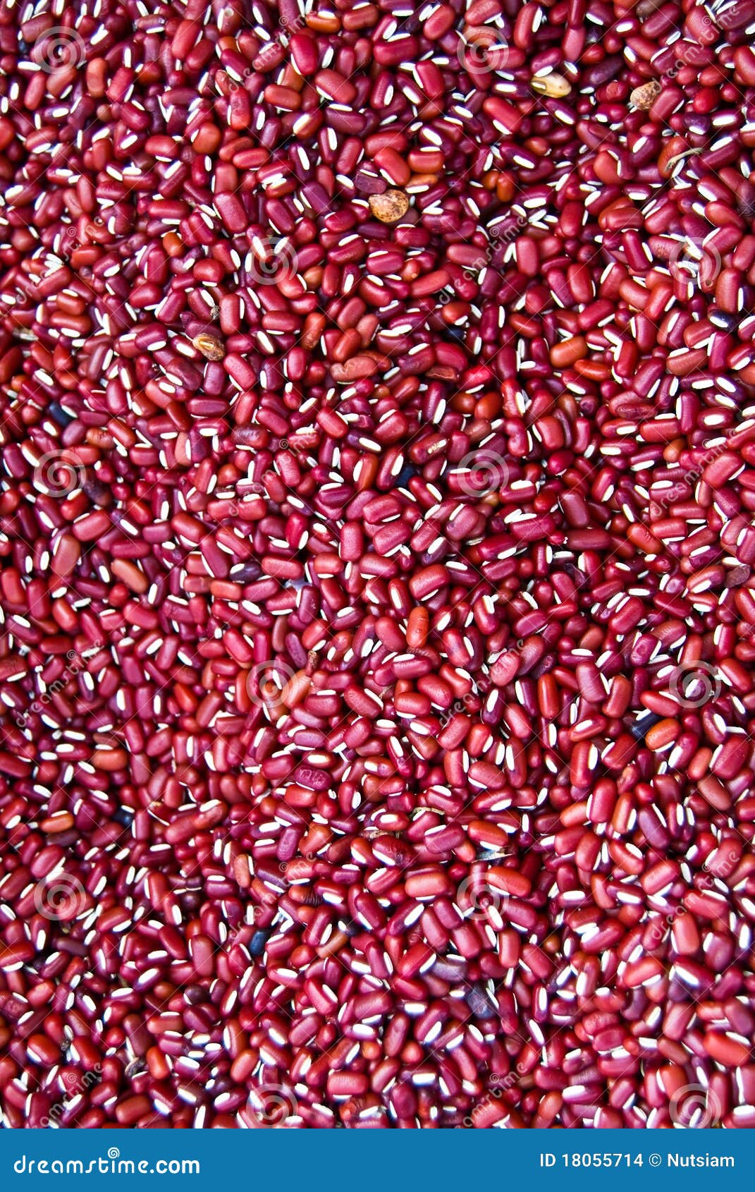 Red bean stock photo. Image of paste, style, confection - 18055714