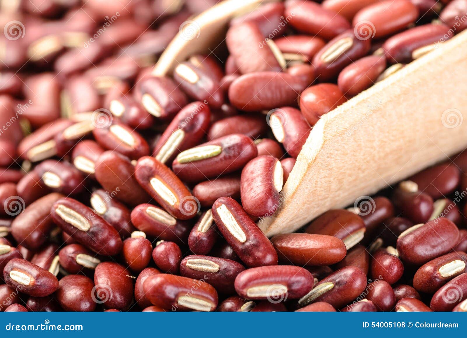 Red bean stock photo. Image of legume, bean, uncooked - 54005108