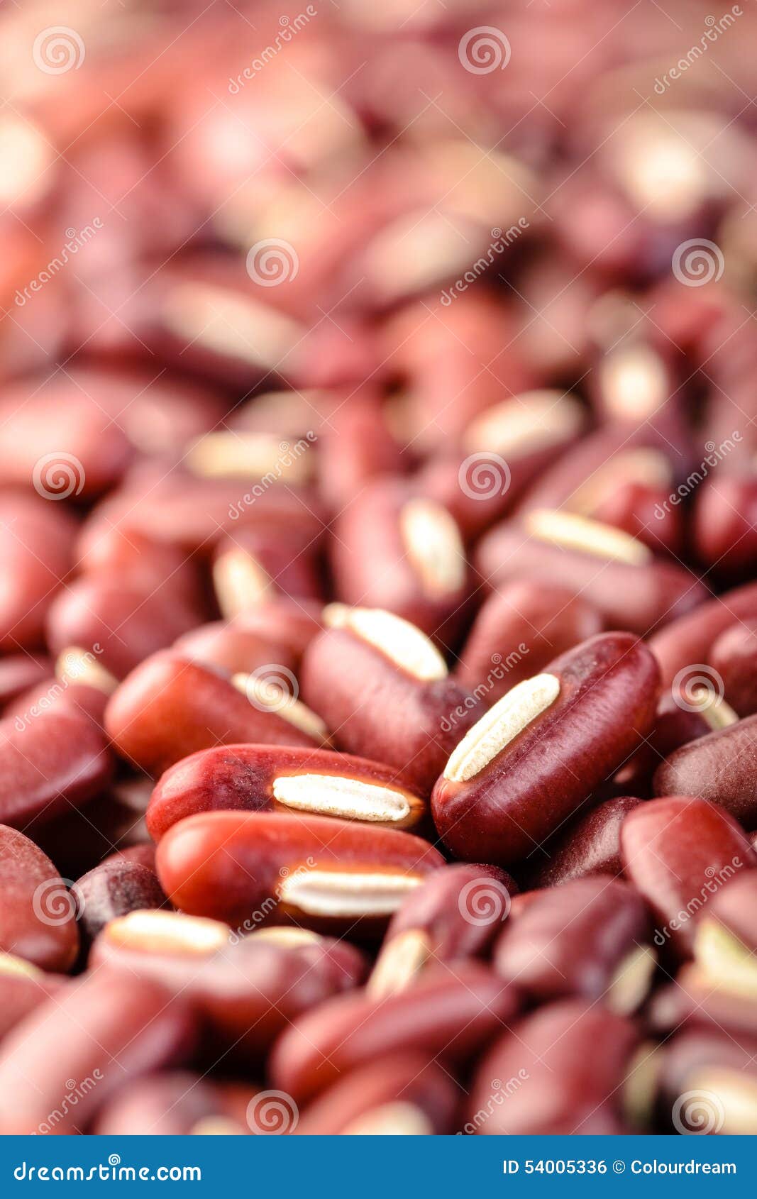 Red bean stock photo. Image of grain, bean, beans, seed - 54005336
