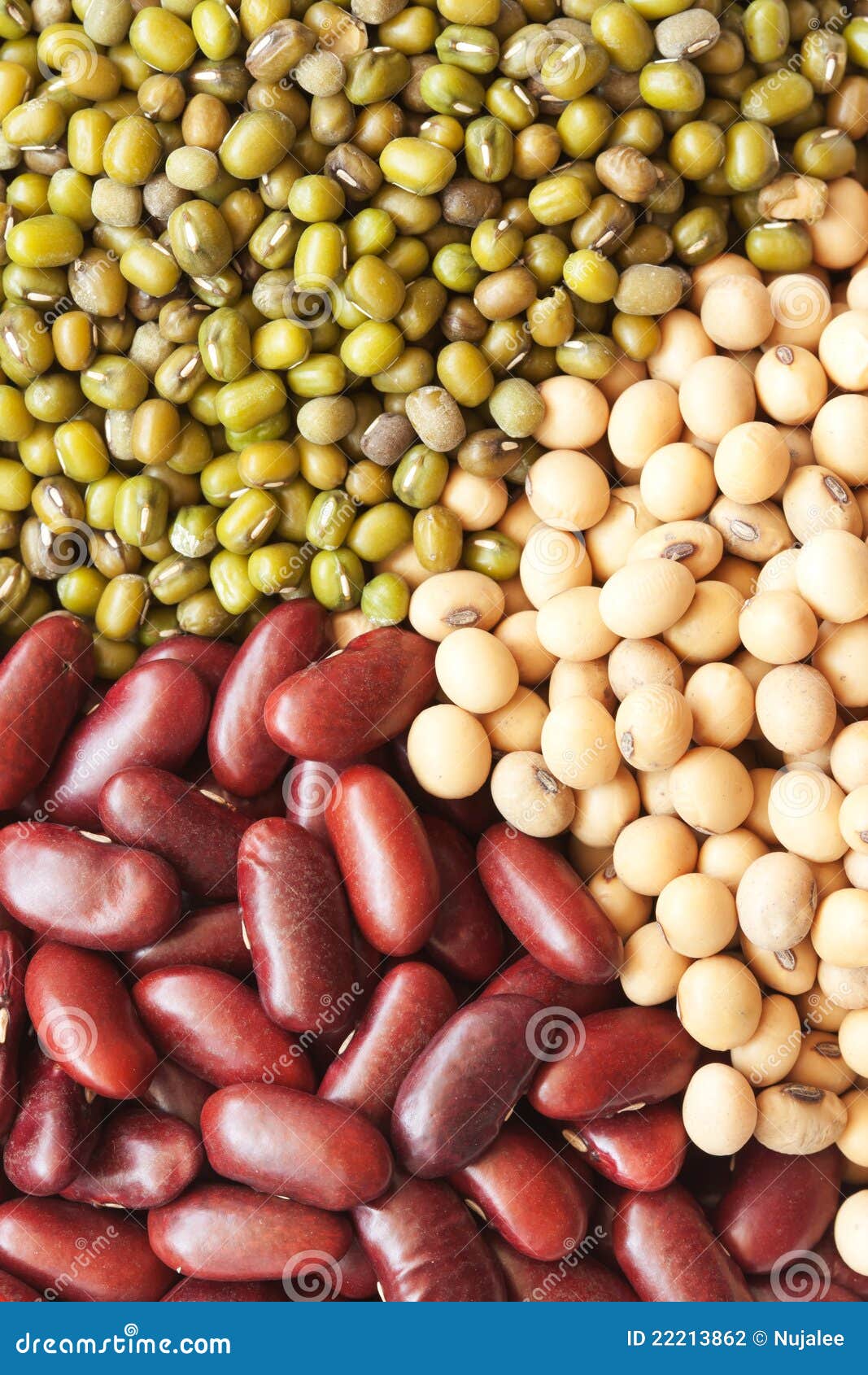 Red Bean, Green Bean, and Soy Bean Close Up Stock Photo - Image of ...