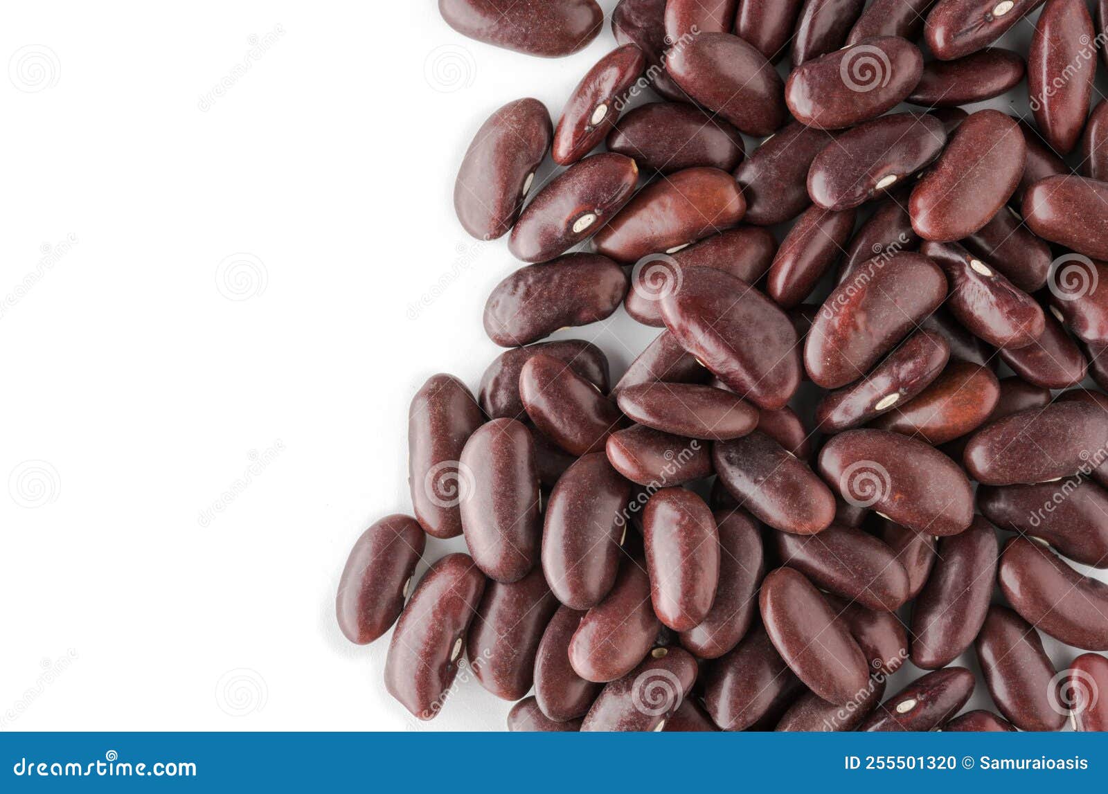 Red Bean Isolated on White Background Stock Photo - Image of vegetable ...