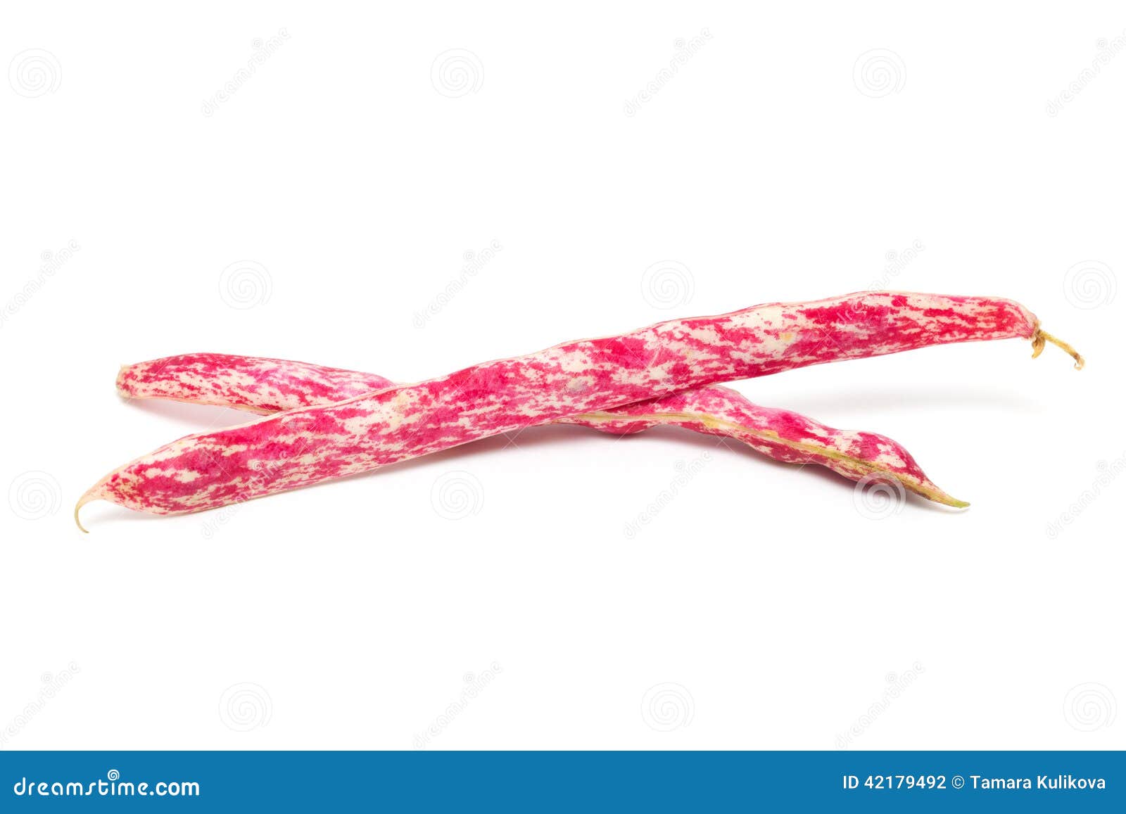 Red Bean Pods Isolated on White Stock Photo - Image of colorful ...