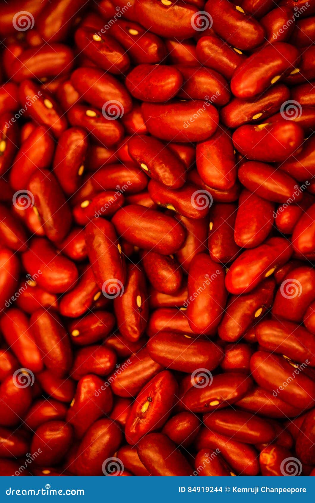 Bean Gram Stock Image | CartoonDealer.com #79301539