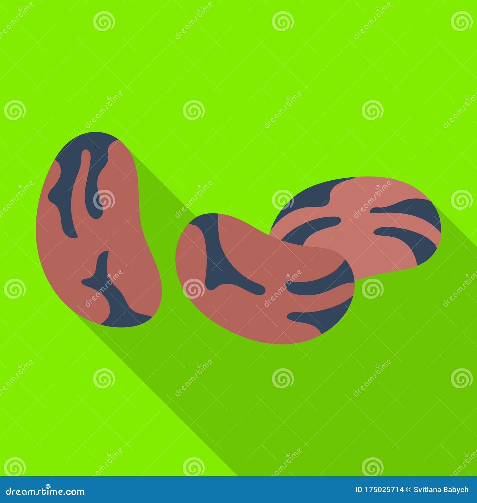 Red of Bean Vector Icon.Flat Vector Icon Isolated on White Background ...