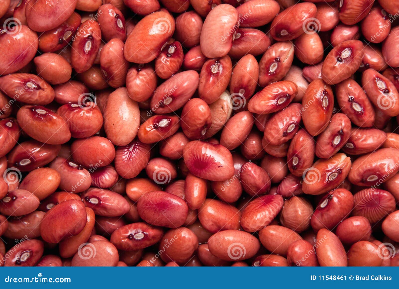 Red beans stock image. Image of background, bean, soaked - 11548461